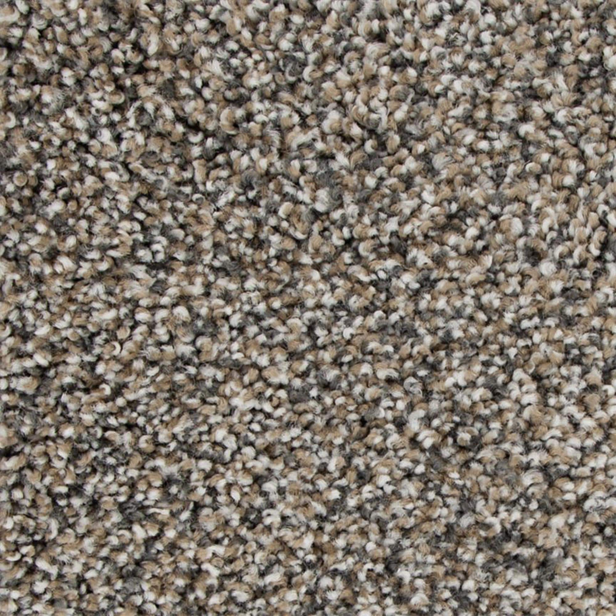Karastan Fascinating Allure Carpet in Homestead