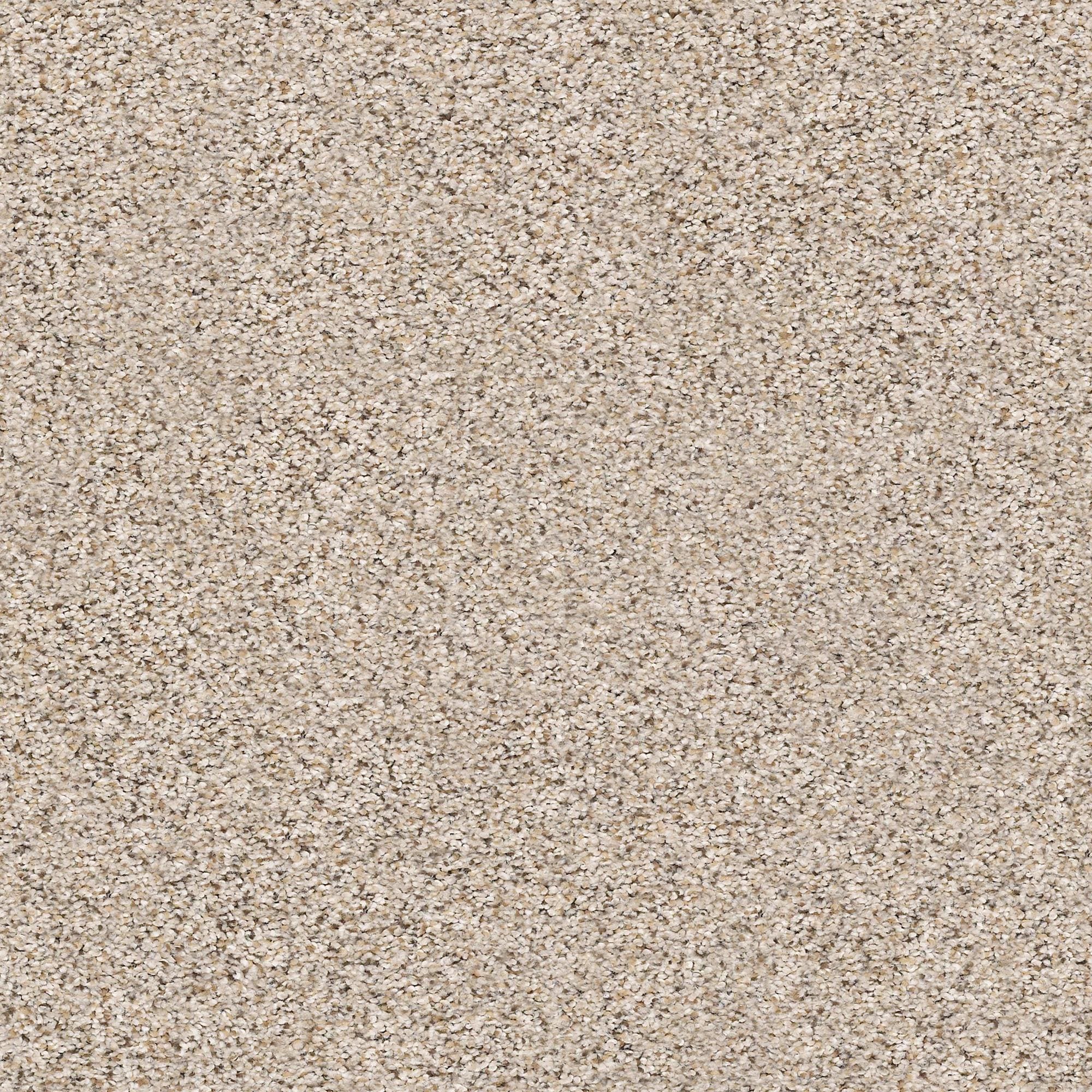 Shaw Abilene II Carpet in Gentle Rain