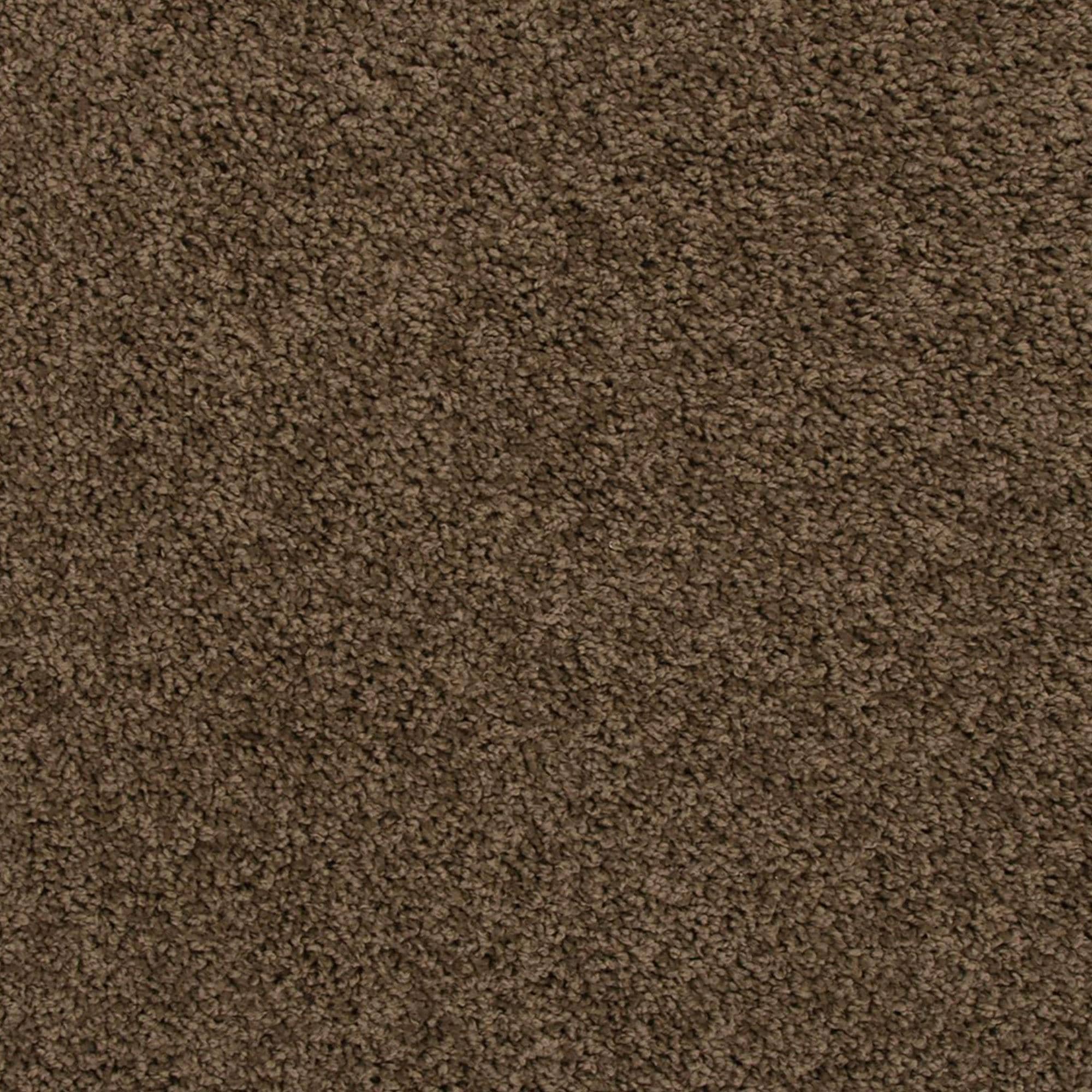 Mohawk Revive Carpet in Husk