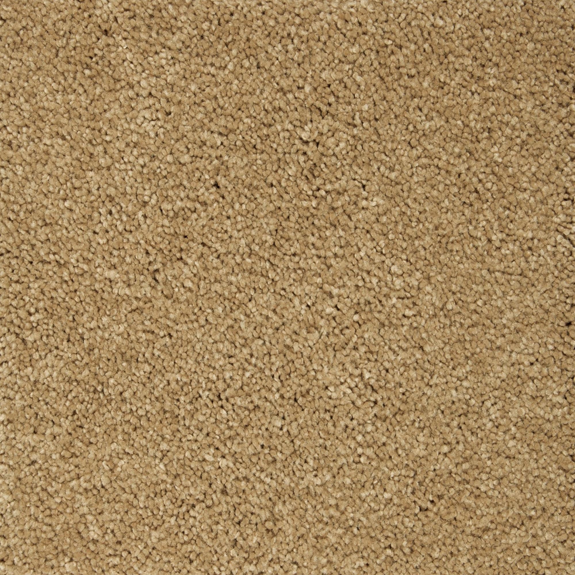 Mohawk Pleasant Touch Carpet in Stonington Beige