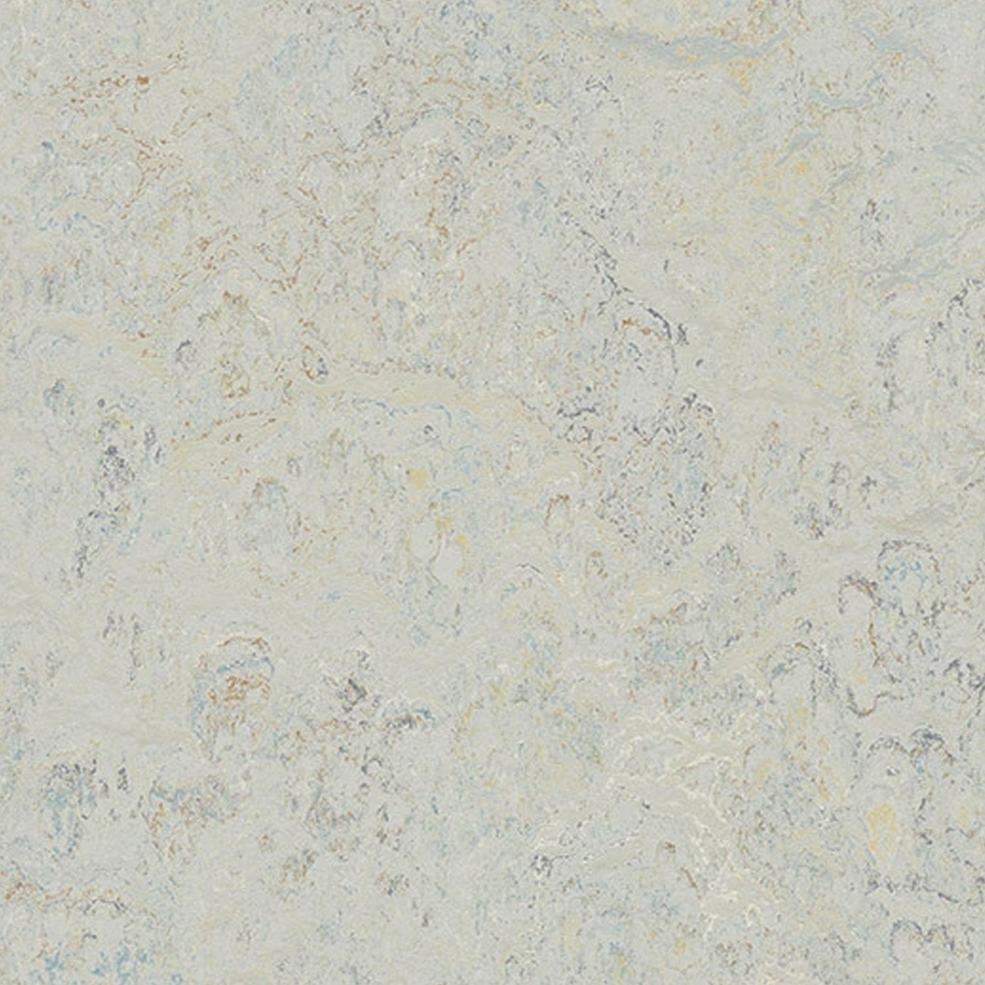 Forbo Marmoleum Cinch Loc Seal 12" x 12" in Seashell | NFM