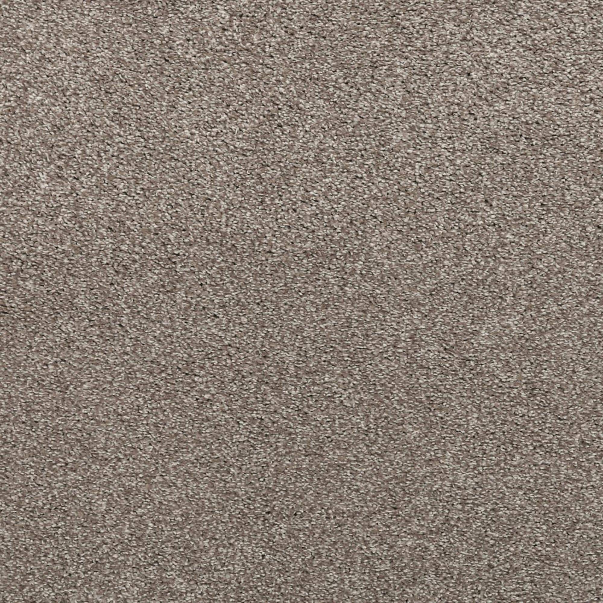 Mohawk Luxuriant Life Carpet in Thin Ice