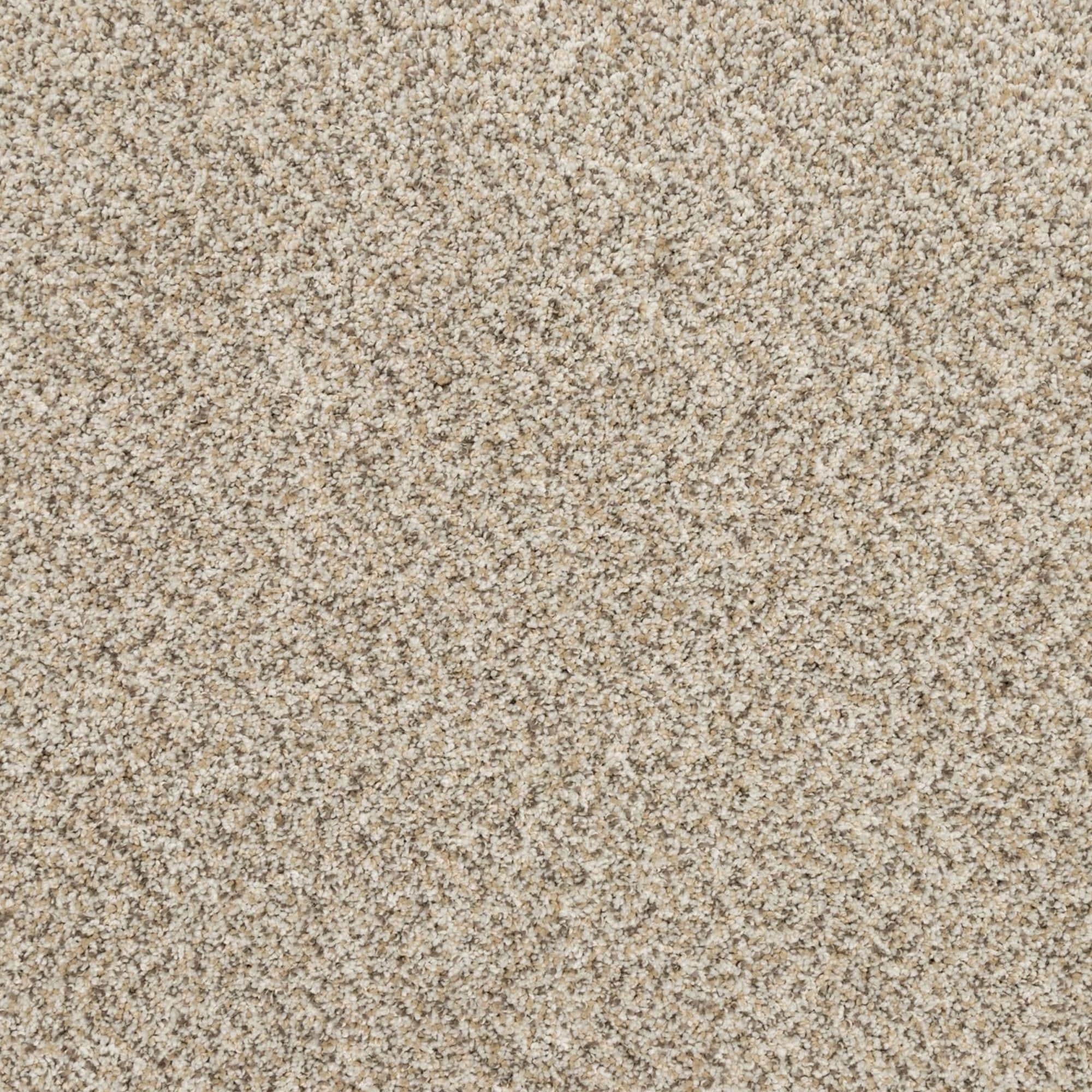 Mohawk Canine Chic Carpet in Fawn