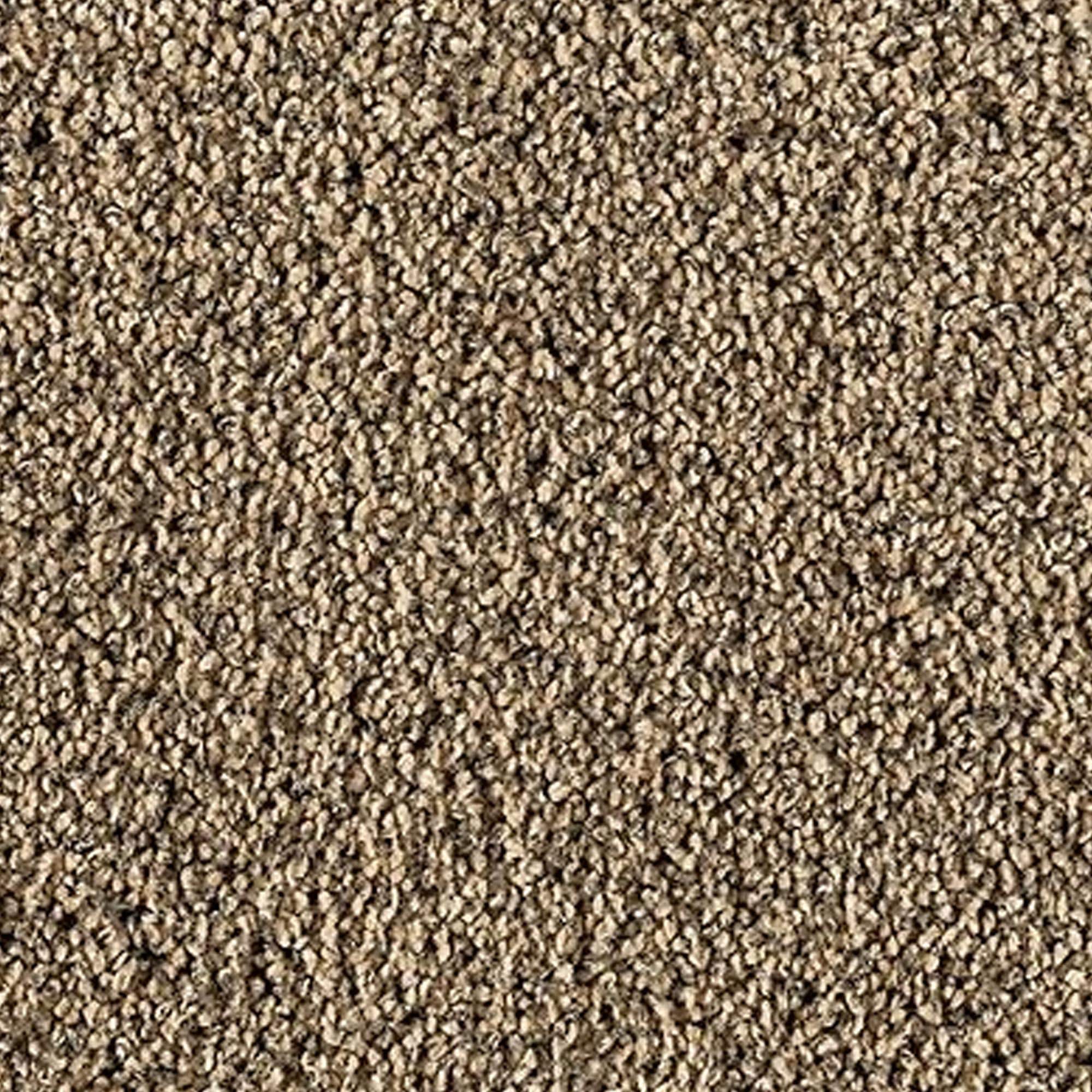 Mohawk SmartStrand Silk Luxuriant Surface Carpet in Halo