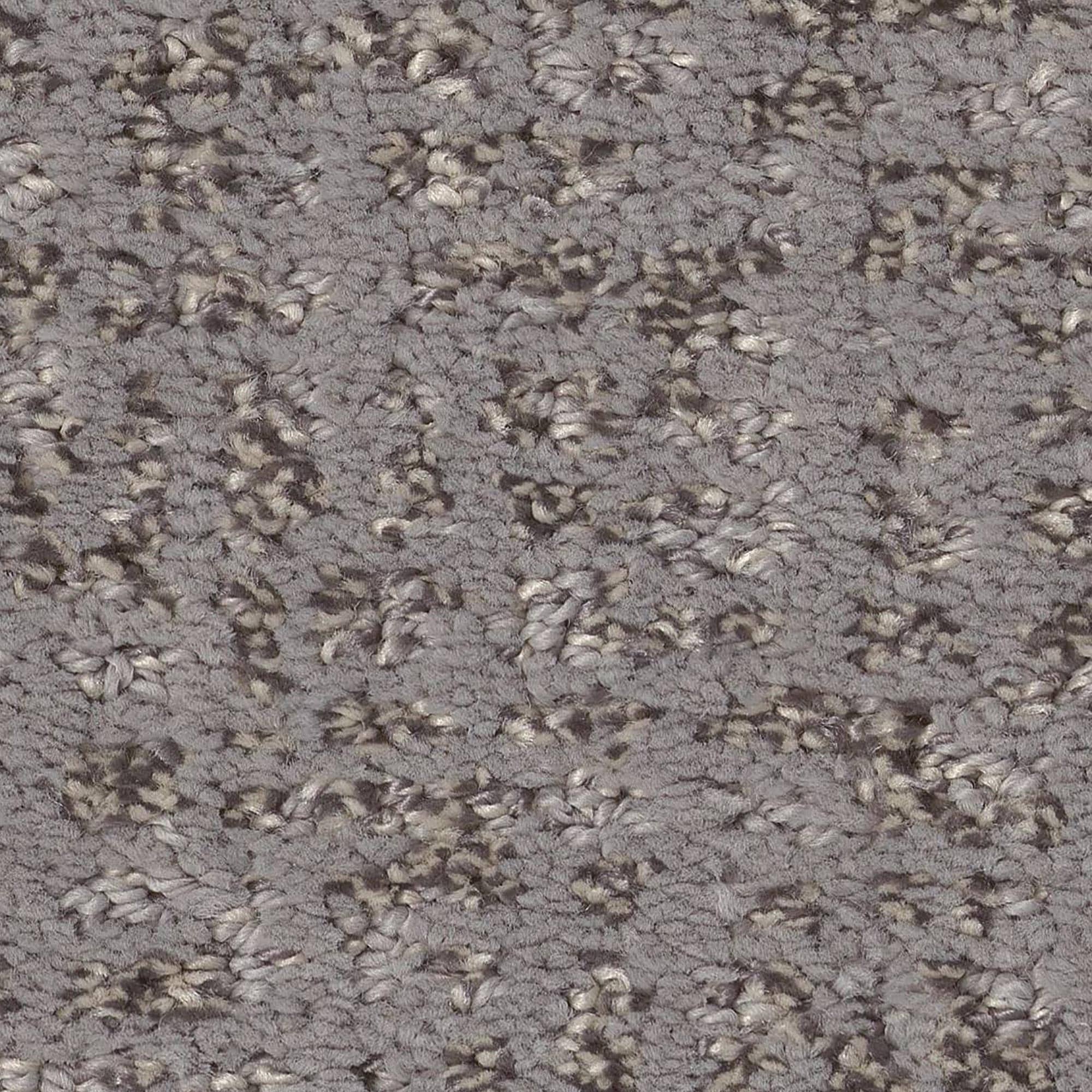 Anderson Tuftex Caboodle Carpet in Sensible