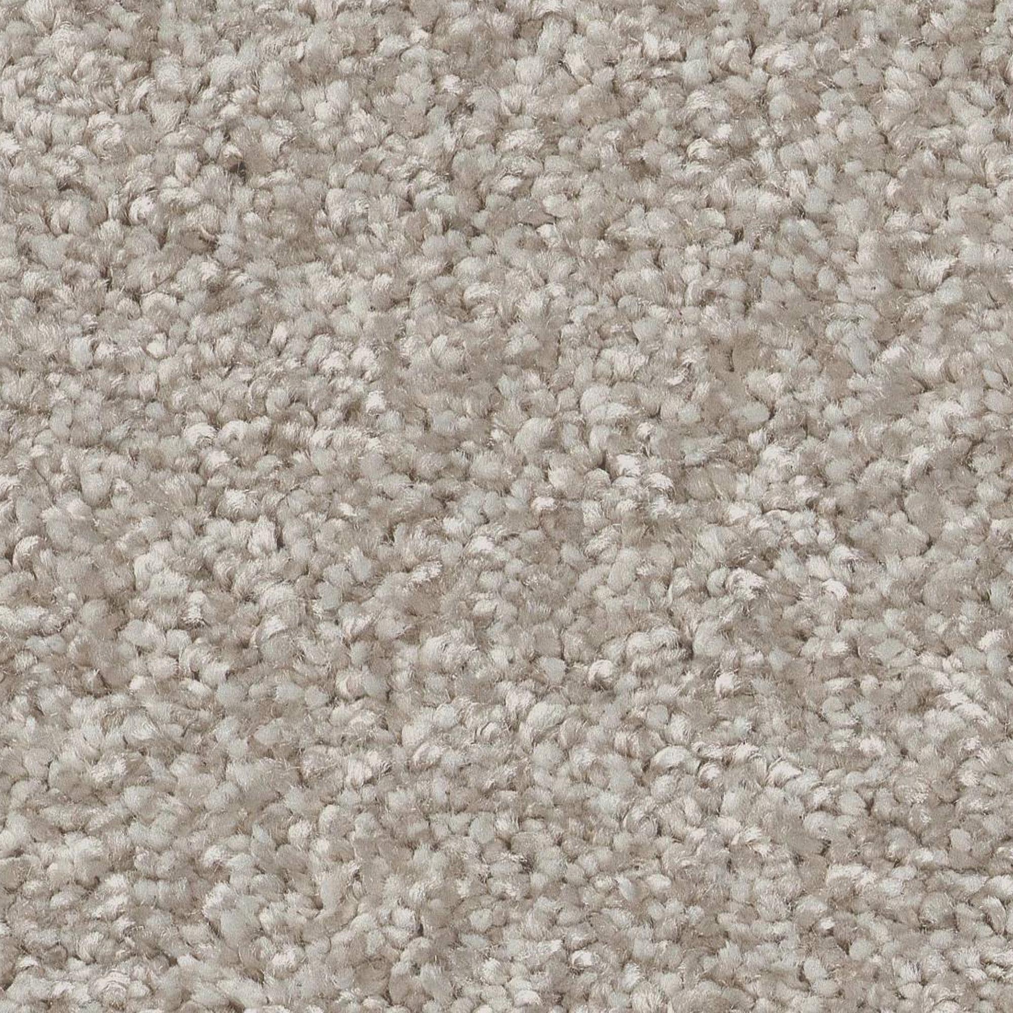 Shaw You Got This III Carpet in Sculpture