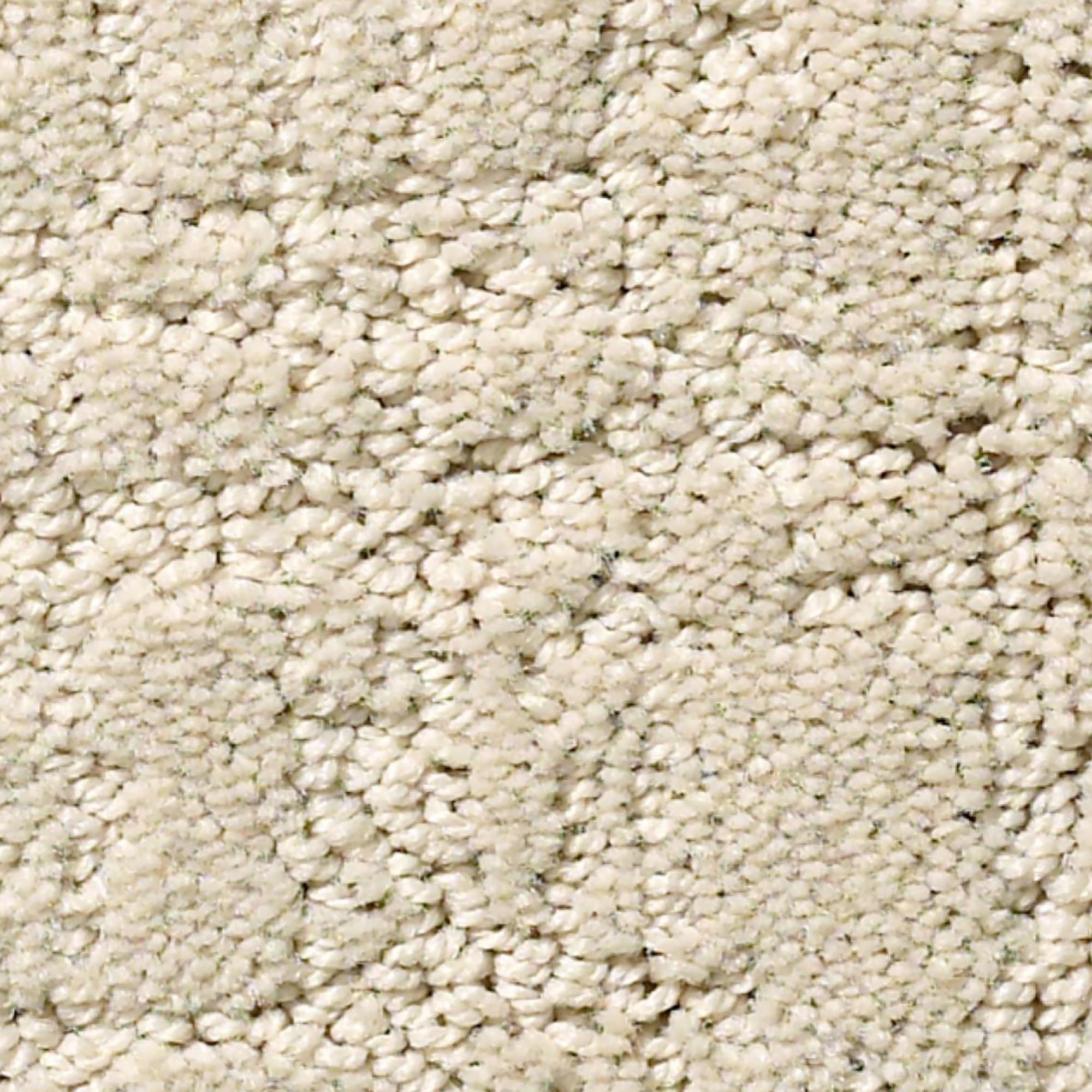 Shaw Creating Memories Carpet in Homemade Ice Cream