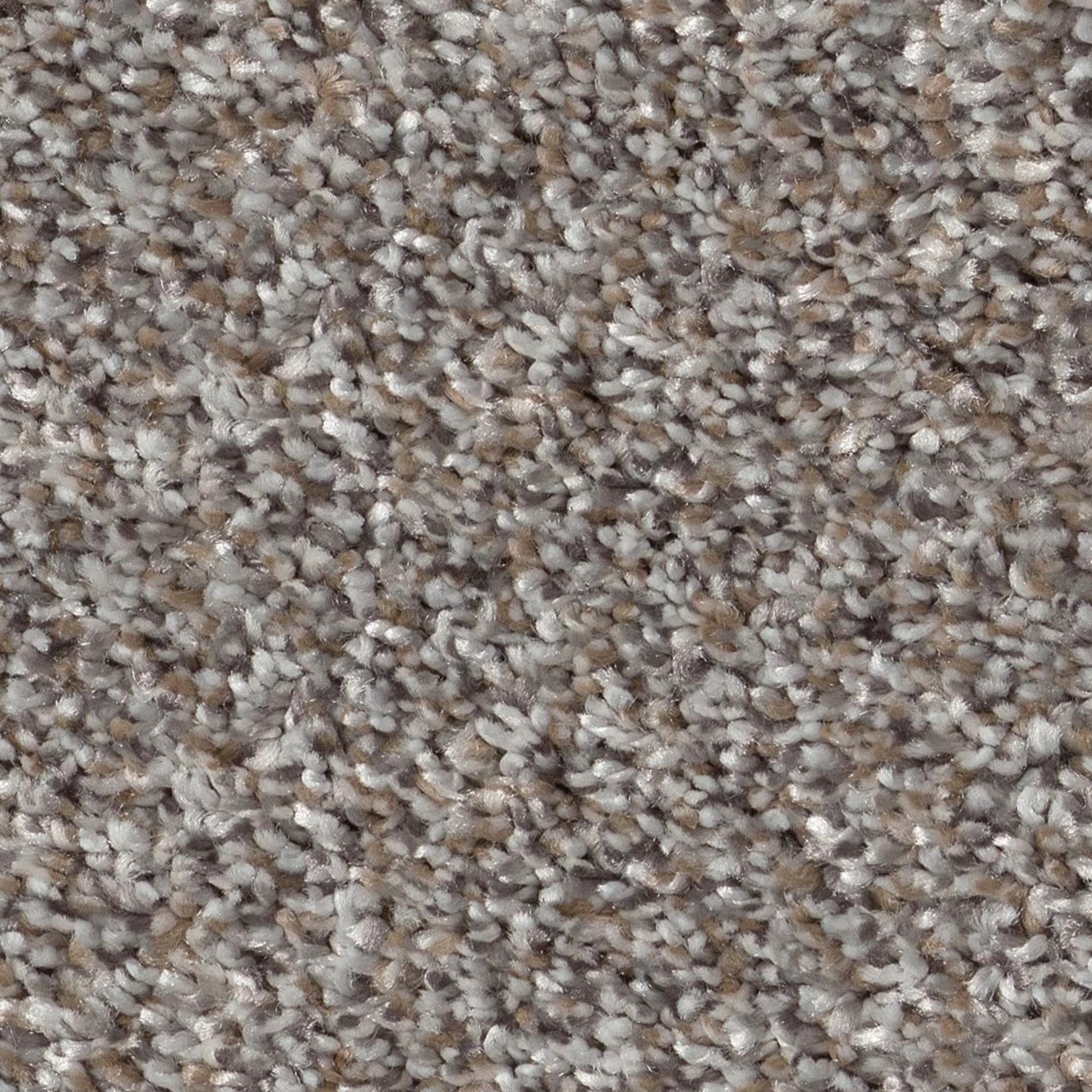 Shaw Higher Ground III Carpet in River Rock