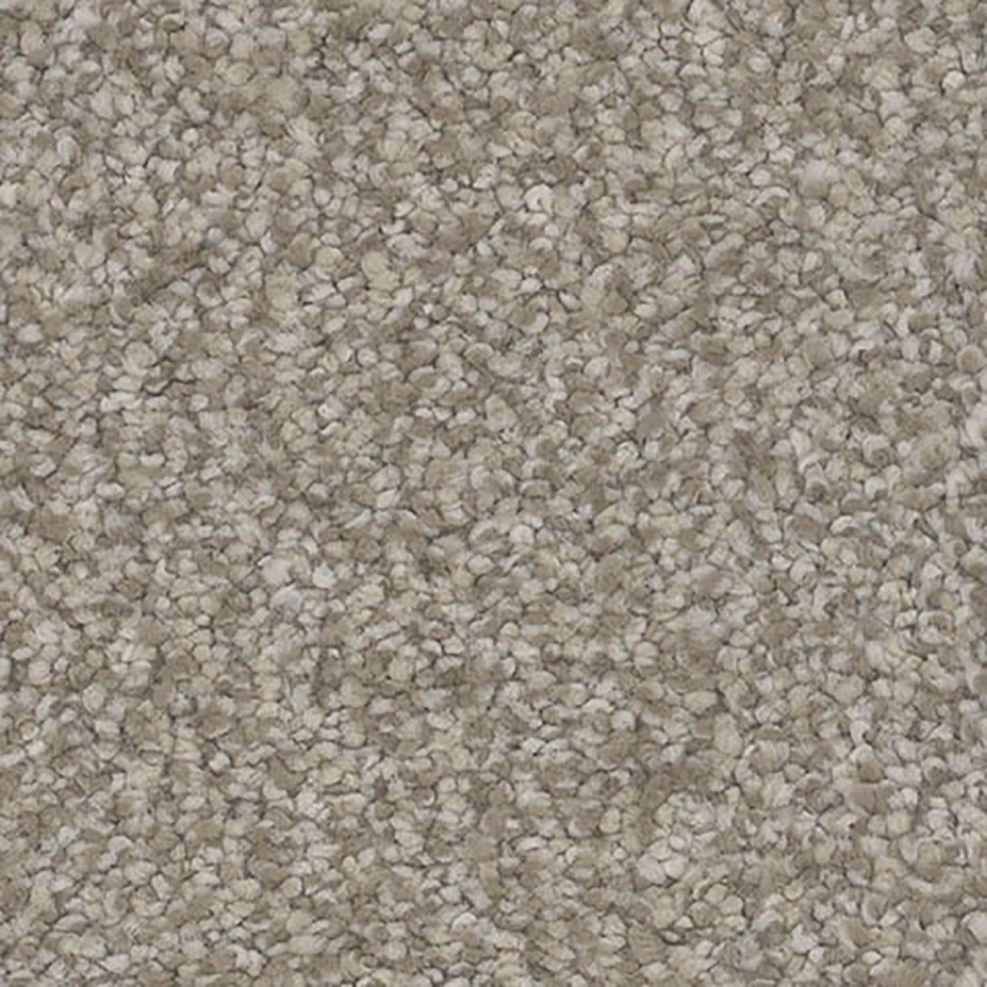 Lexmark Carpet Mills Intrigue Carpet in Delight