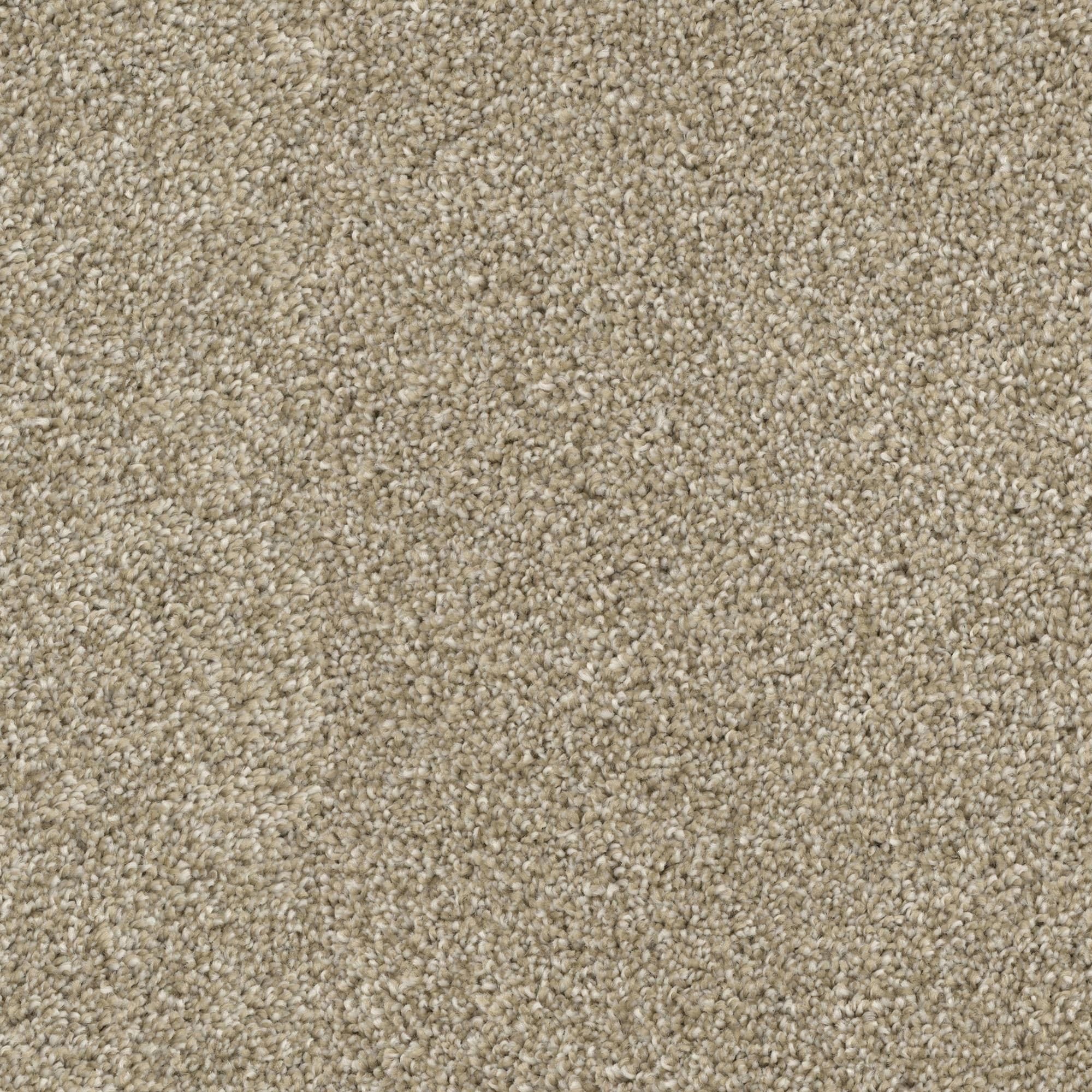 Dixie Home Main Force Carpet in Pebble