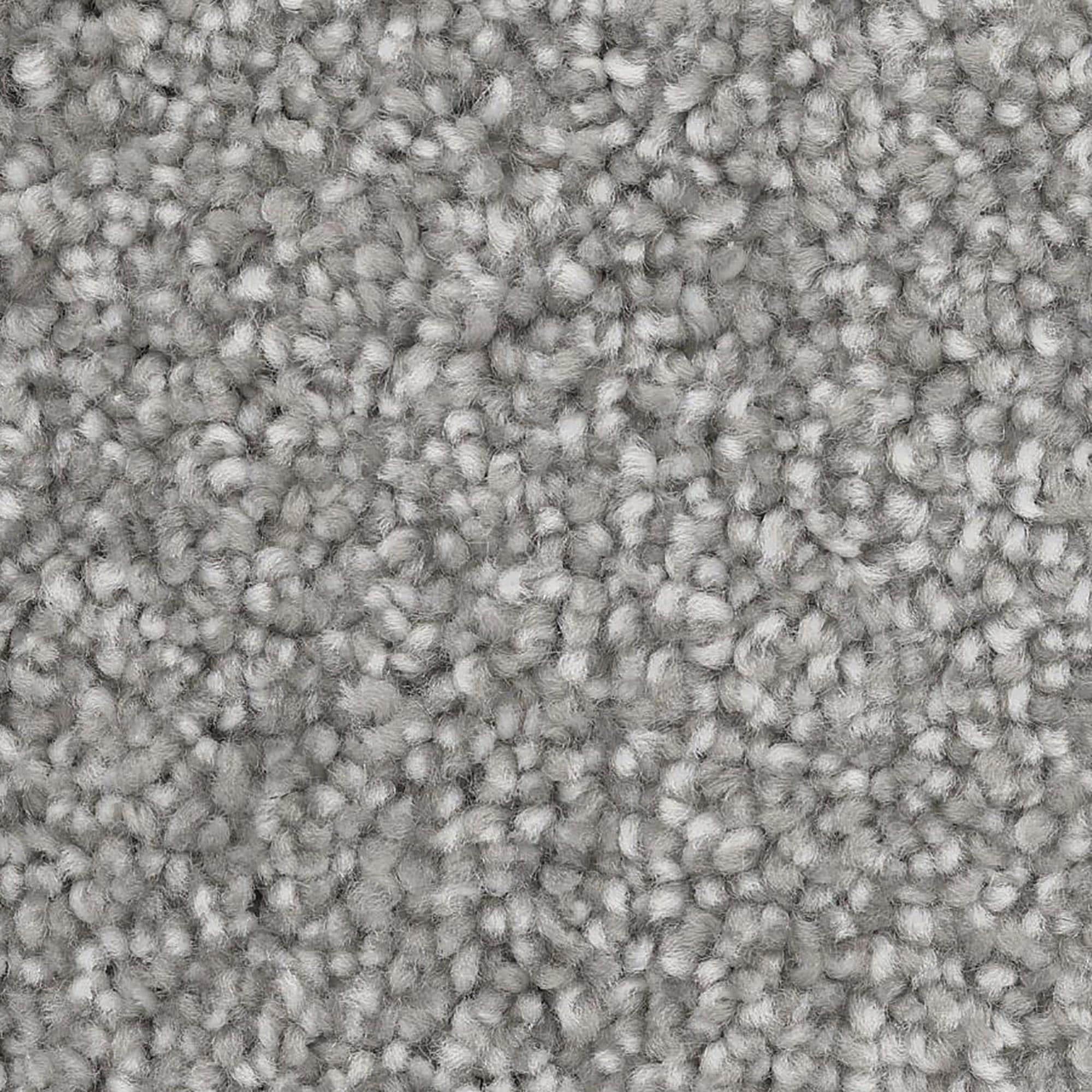 Dixie Home Dx835 Carpet in Gull