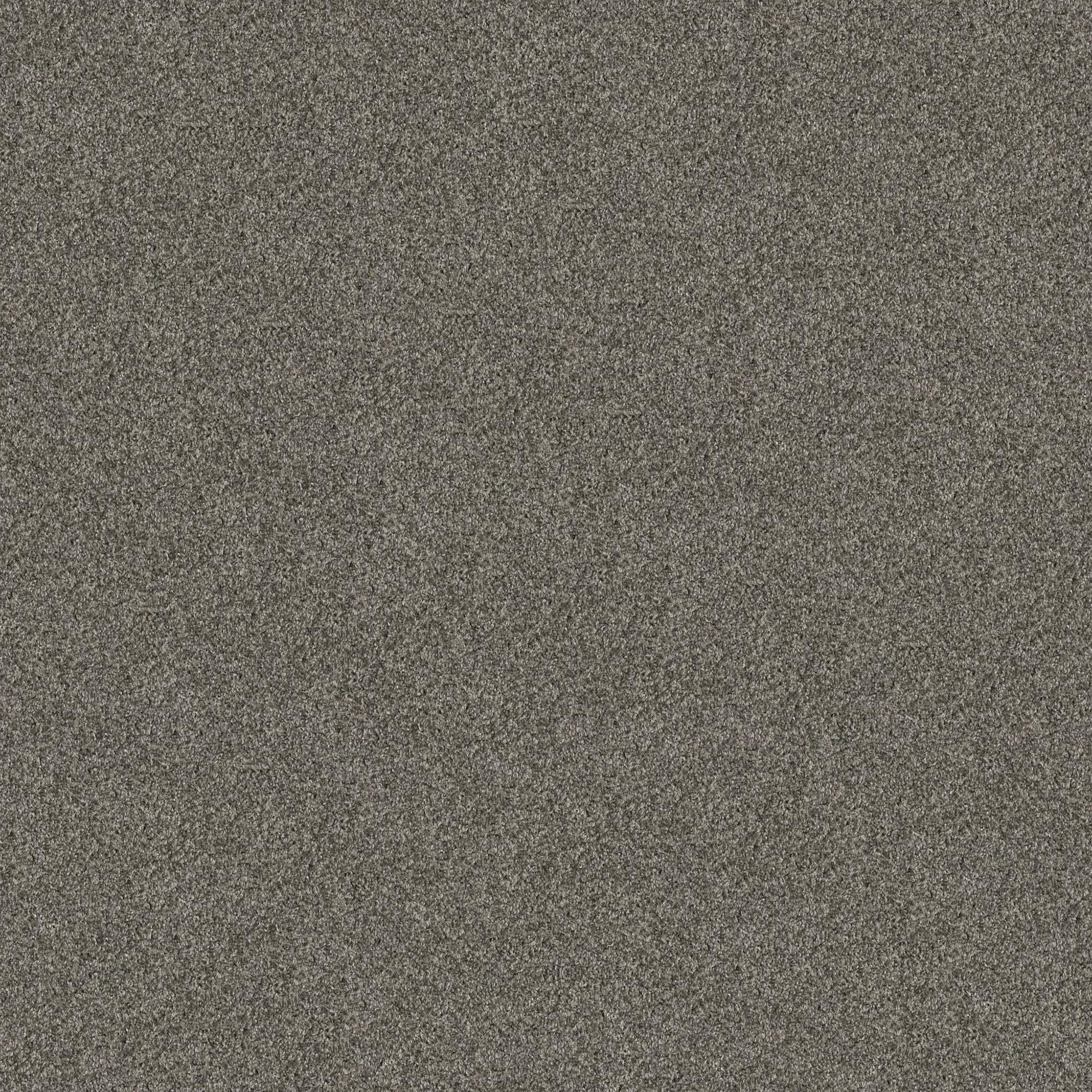 Shaw Yes You Can II Carpet in Rerooted Nature