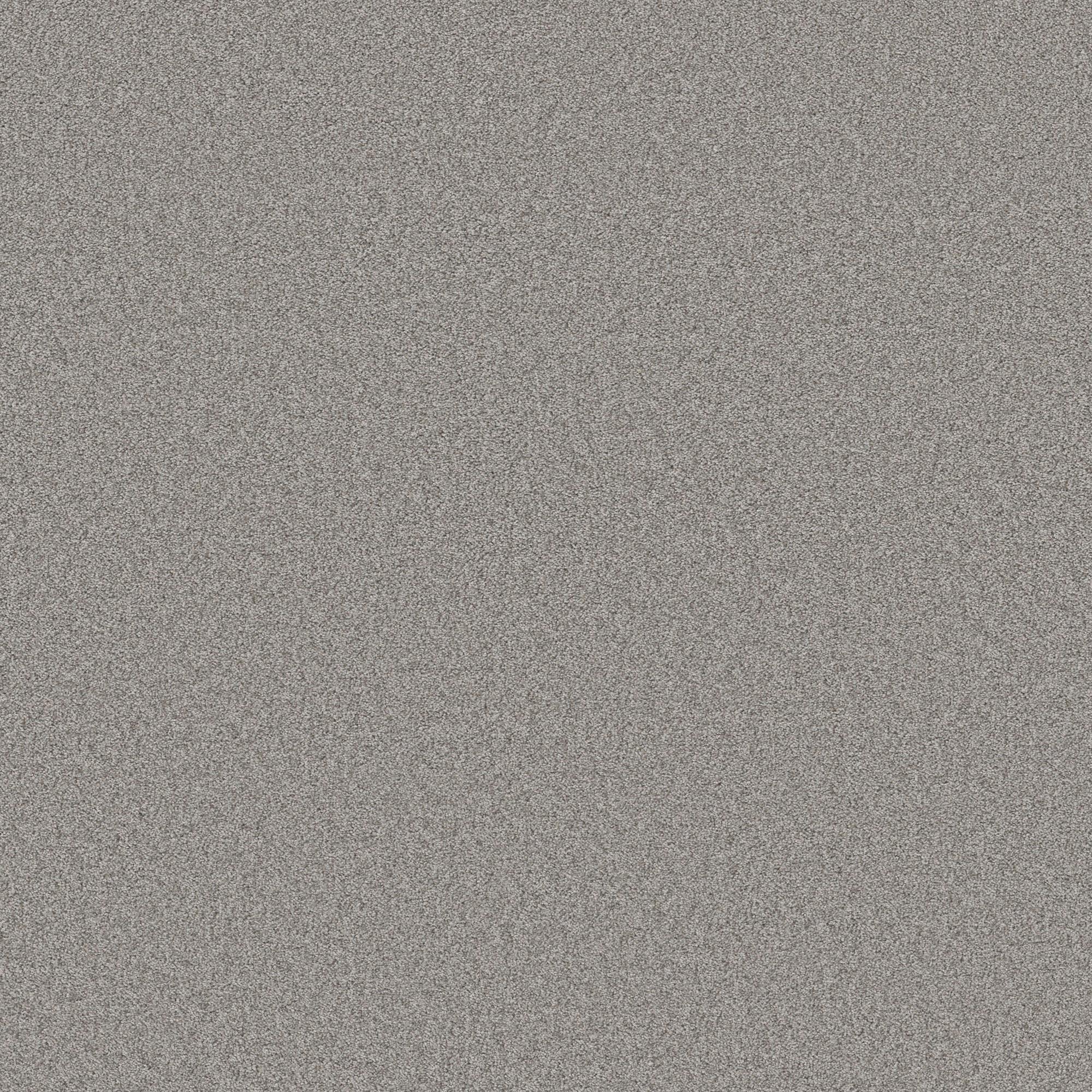 Shaw Del Rio II Carpet in Grey Fox