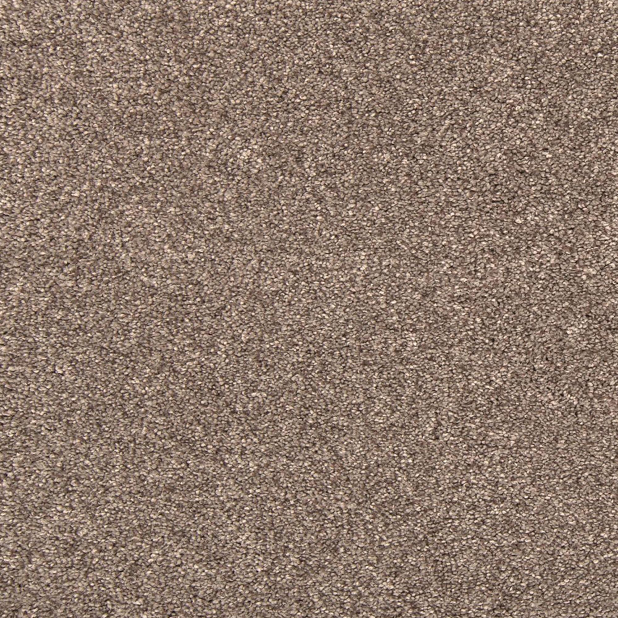 Mohawk Bold Creation Carpet in Bed Rock