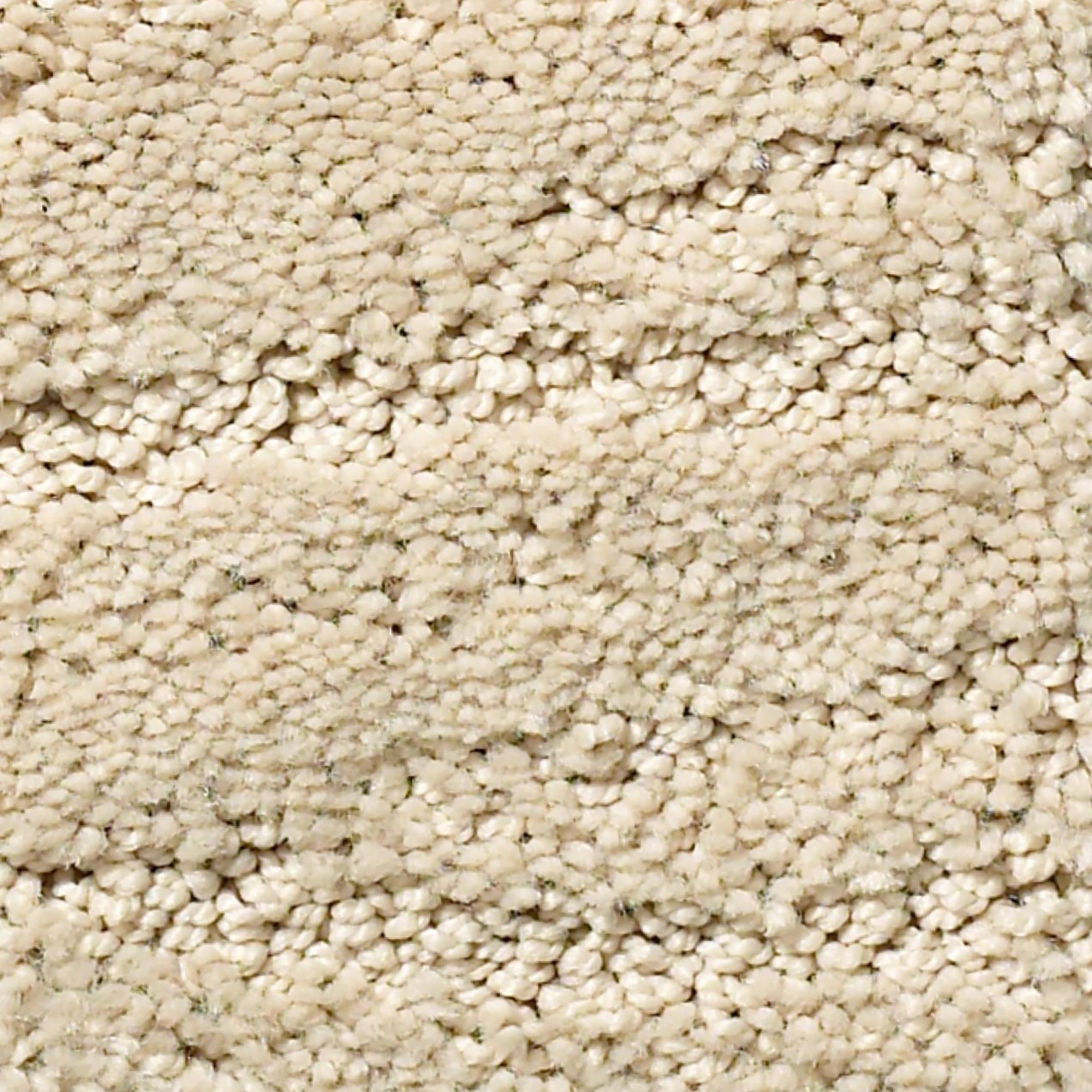 Anderson Tuftex Matisse Carpet in Morning Light