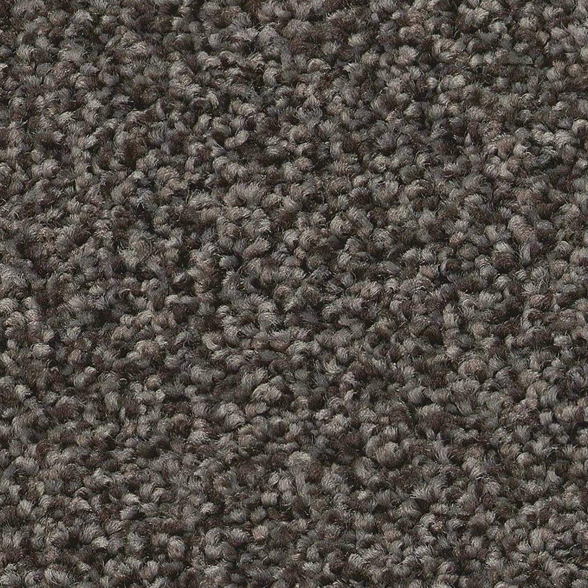 Philadelphia Tonal Comfort Ii Carpet in Weekend Getaway | Shop NFM