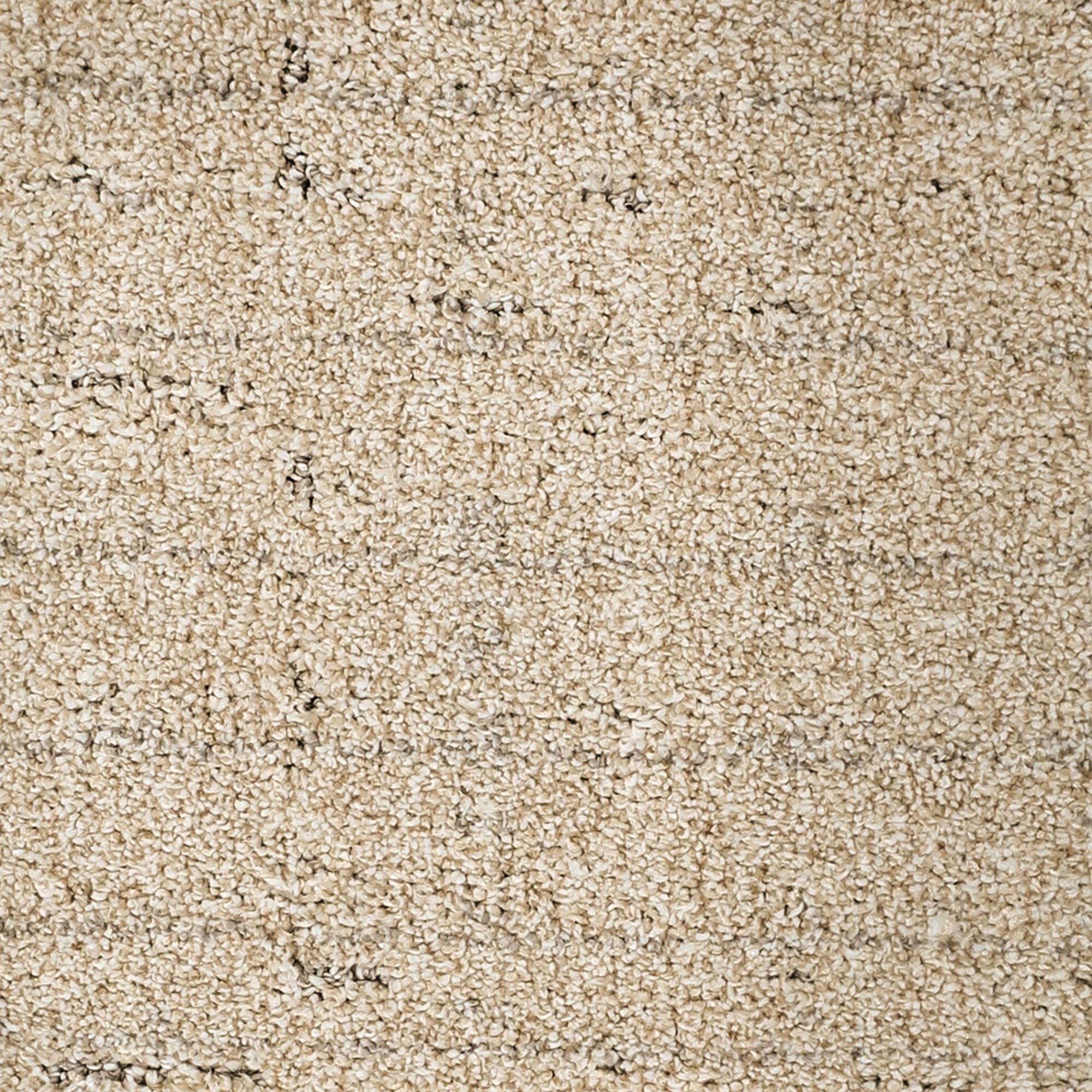 Mohawk Paw-Some Plaid Carpet in Tawny Silk