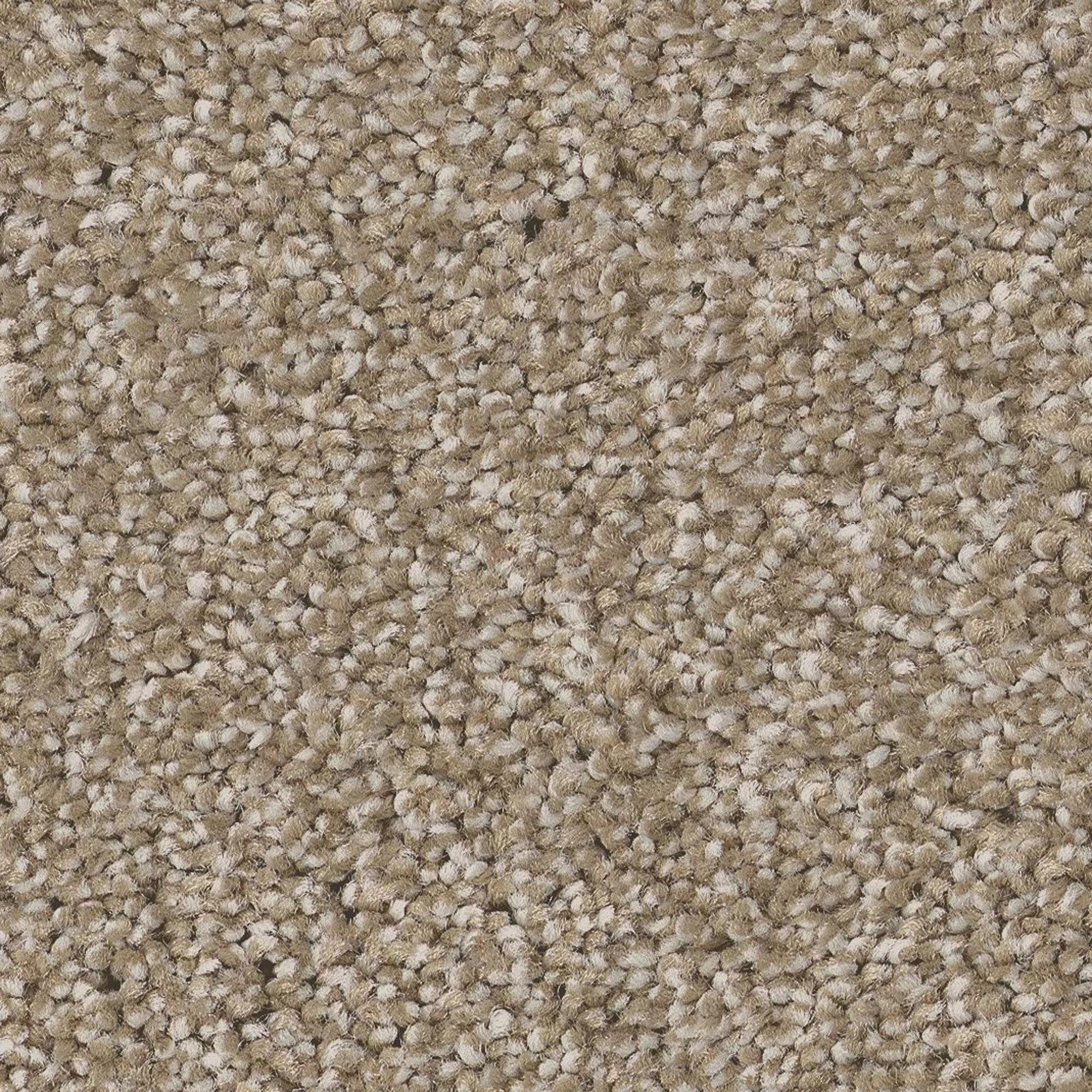 Anderson Tuftex Cypress Falls Carpet in Tan
