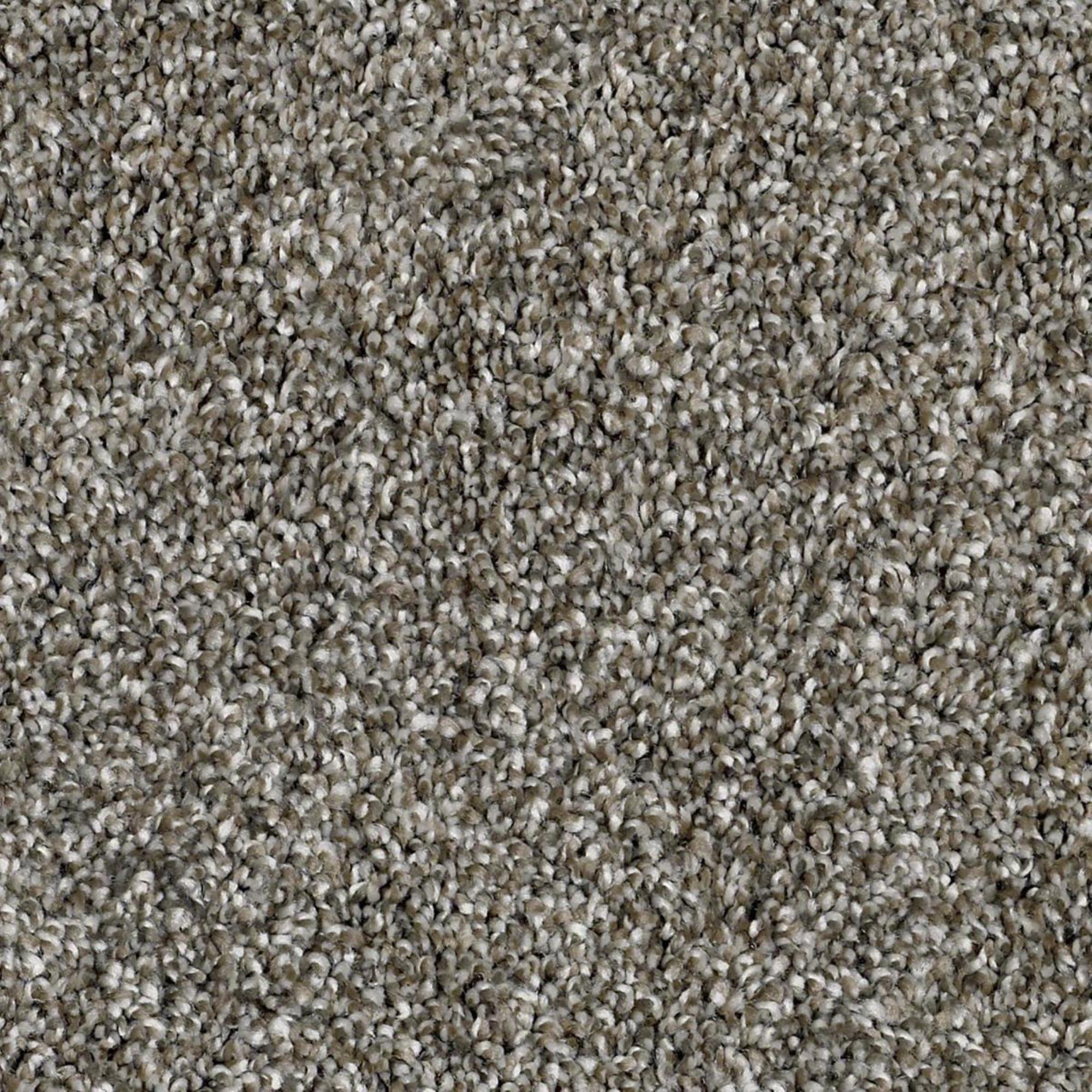 Shaw Work The Color Net Carpet in Bird Bath