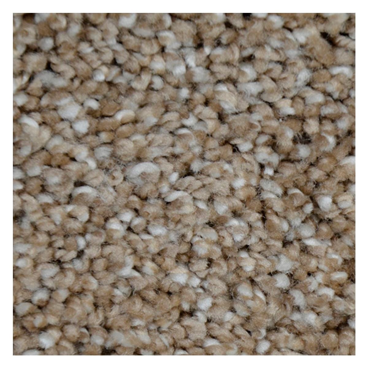 Dream Weaver Metropolitan Carpet in Acorn