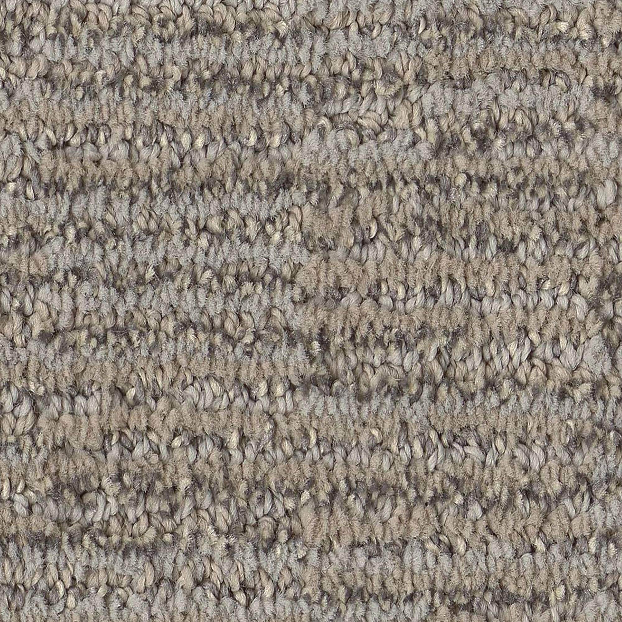 Anderson Tuftex Sneak Peek Carpet in Nightingale