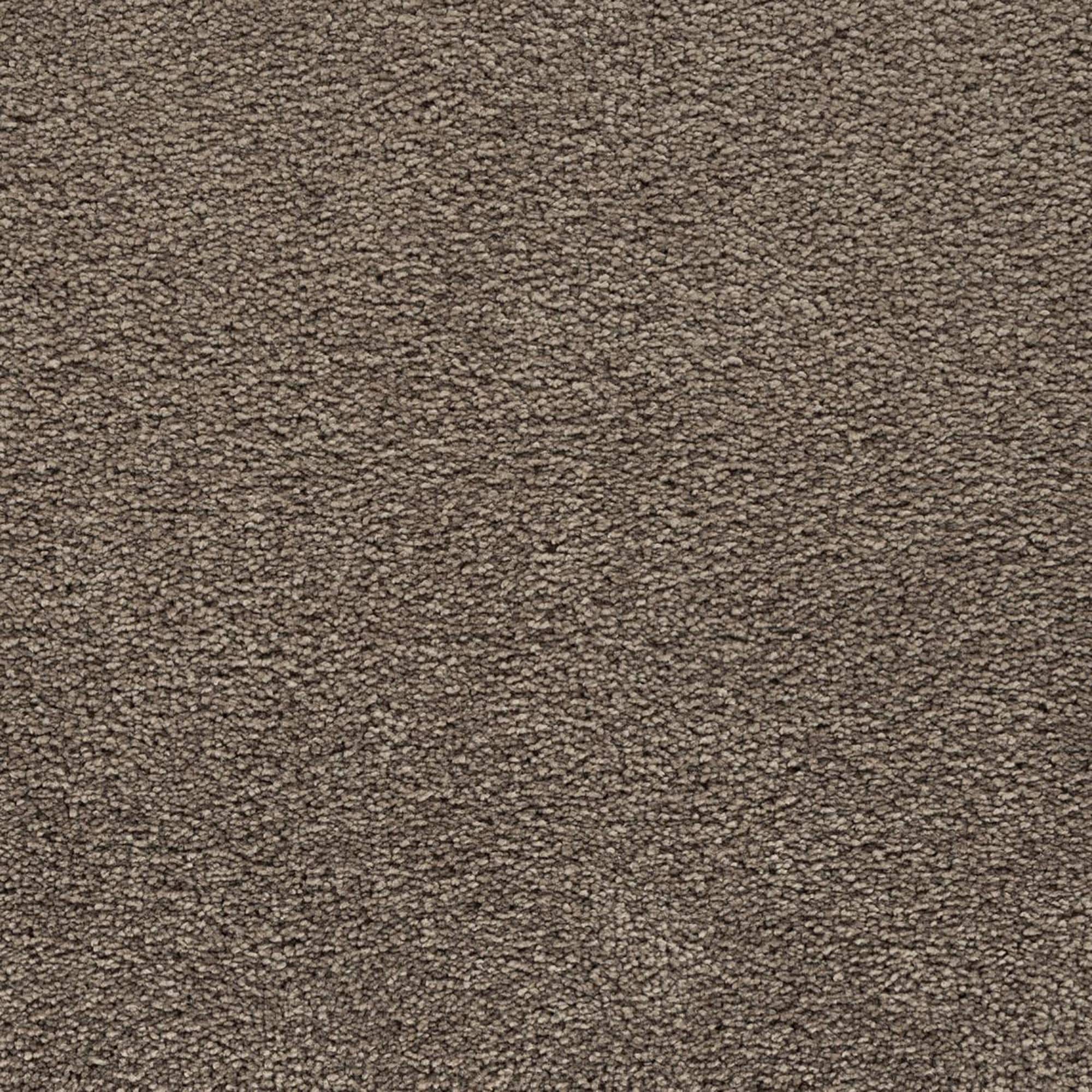 Mohawk Natural Confidence Carpet in Radiance | NFM
