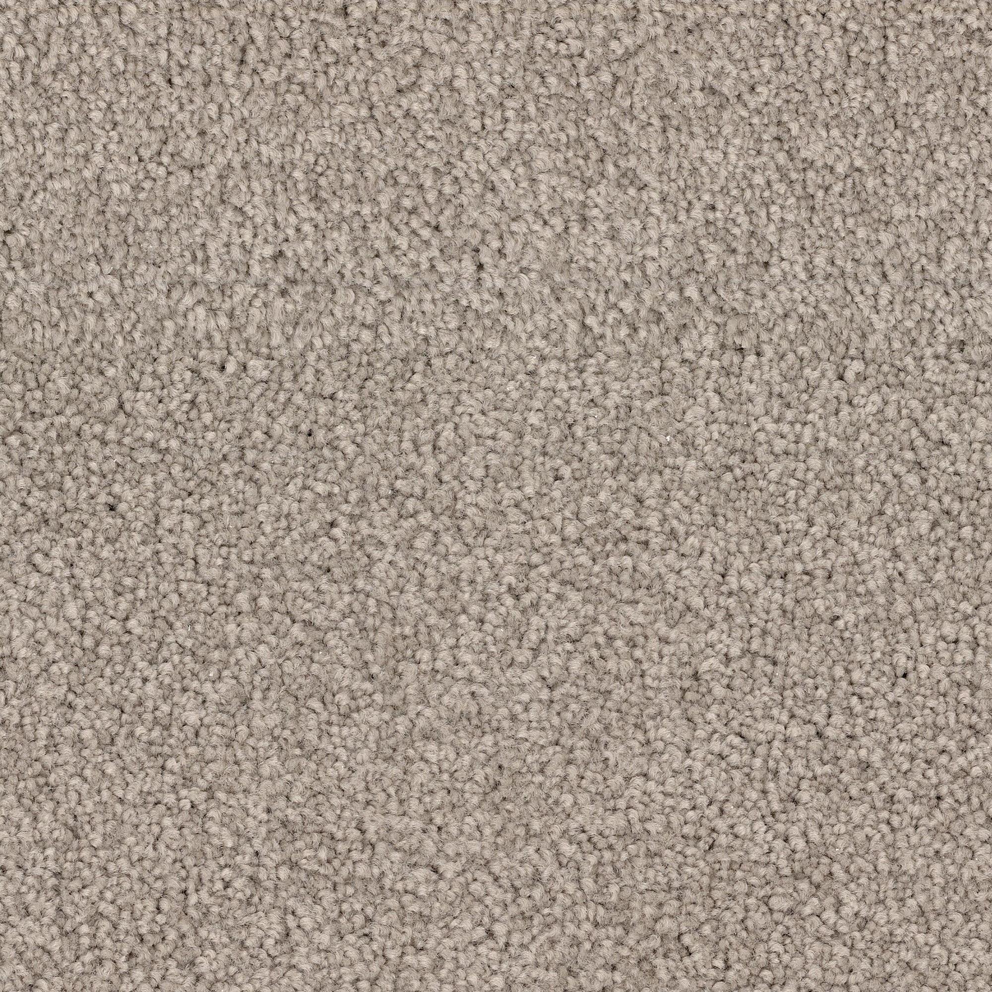 Dixie Home Gentle Wind Carpet in Sandpiper
