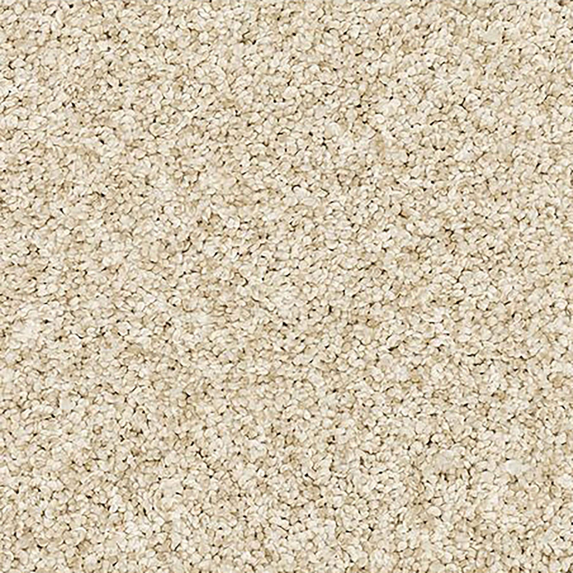 Mohawk Canine Chic Carpet in Frosted Almond