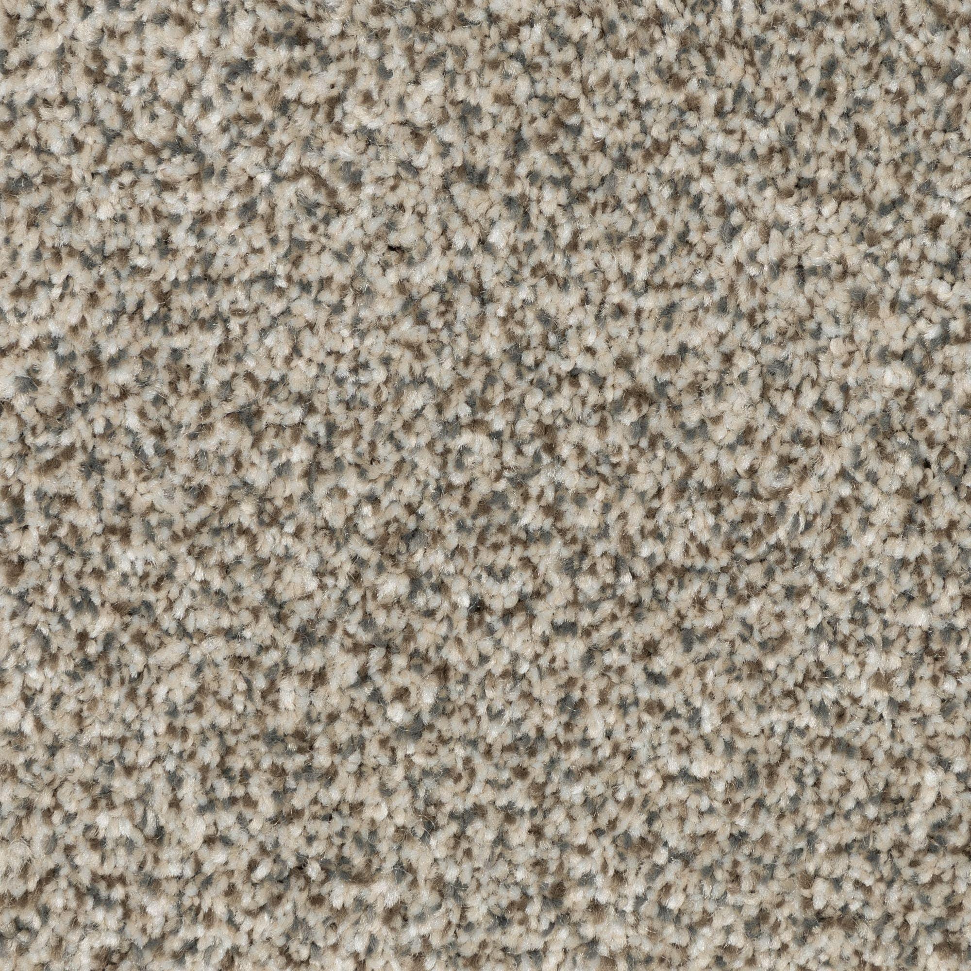 Mohawk Sand In Your Toes Carpet in Opulence