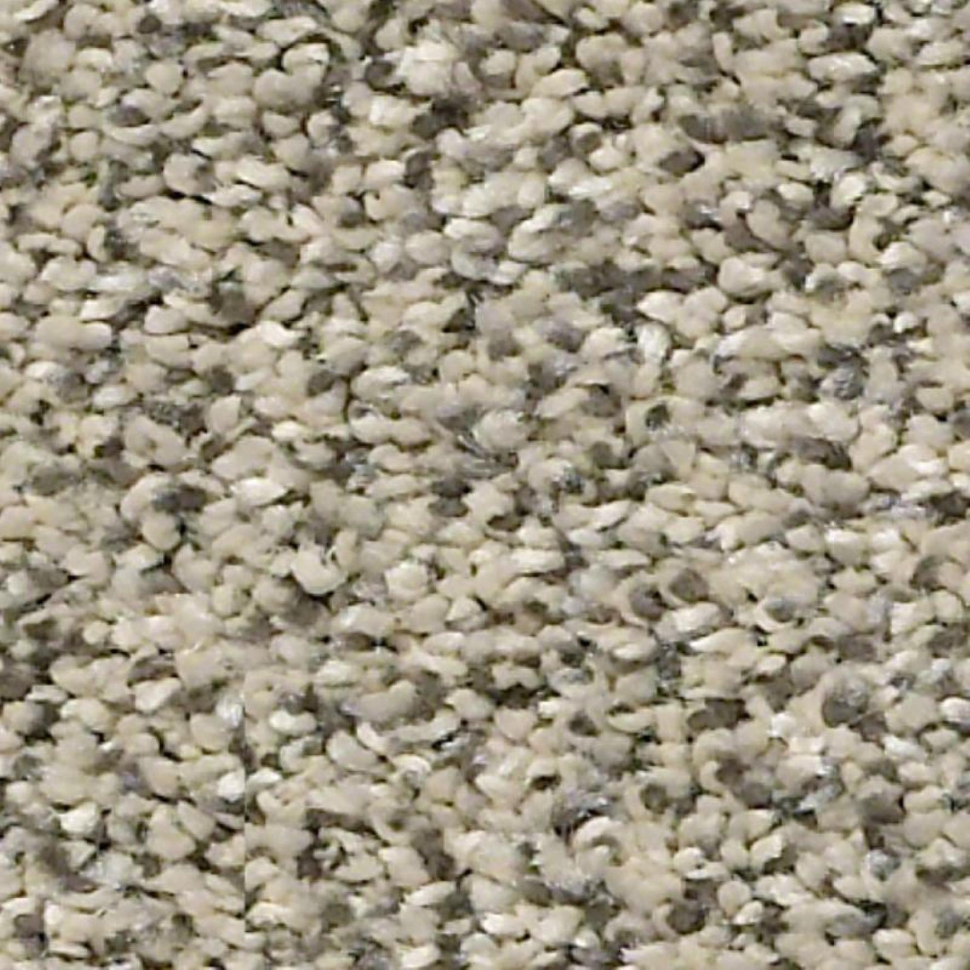 Shaw Points of Color I Carpet in Linen