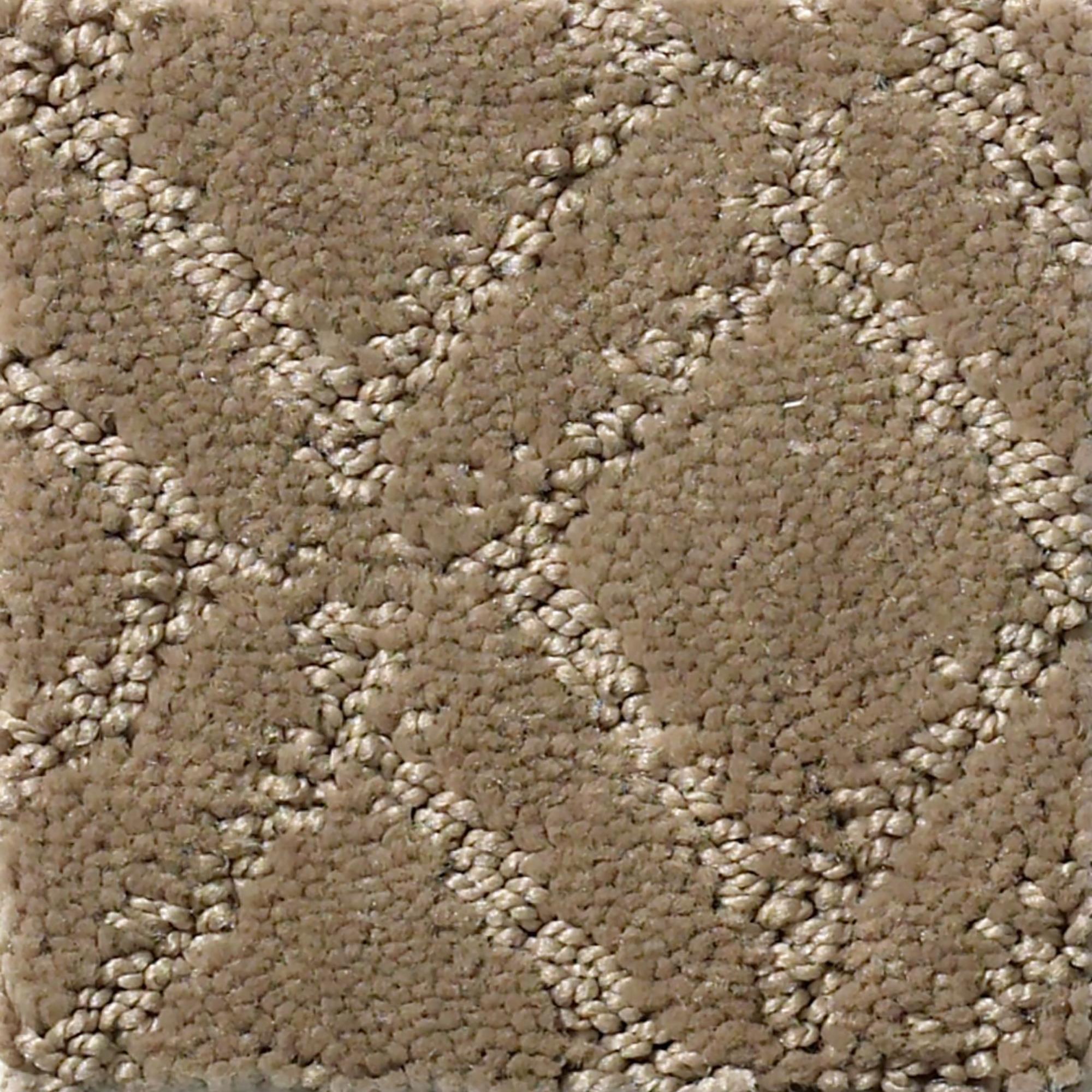 Anderson Tuftex Renoir Carpet in Rockport