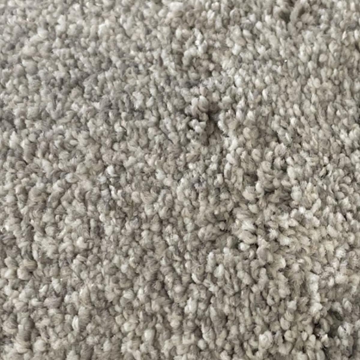 Dixie Home Debut Carpet in Days End