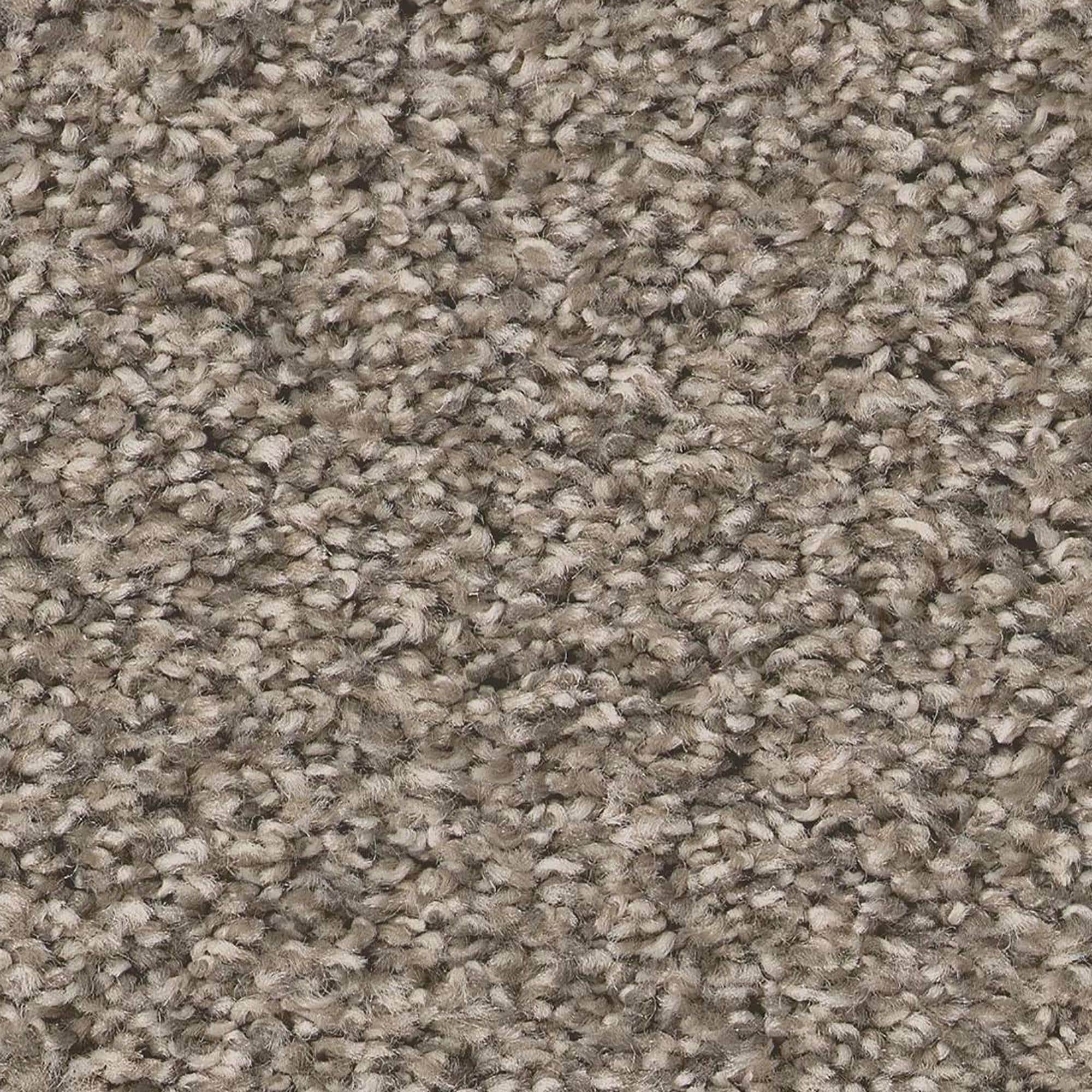 Shaw Tweed Comfort Blue Carpet in Stroke of Luck