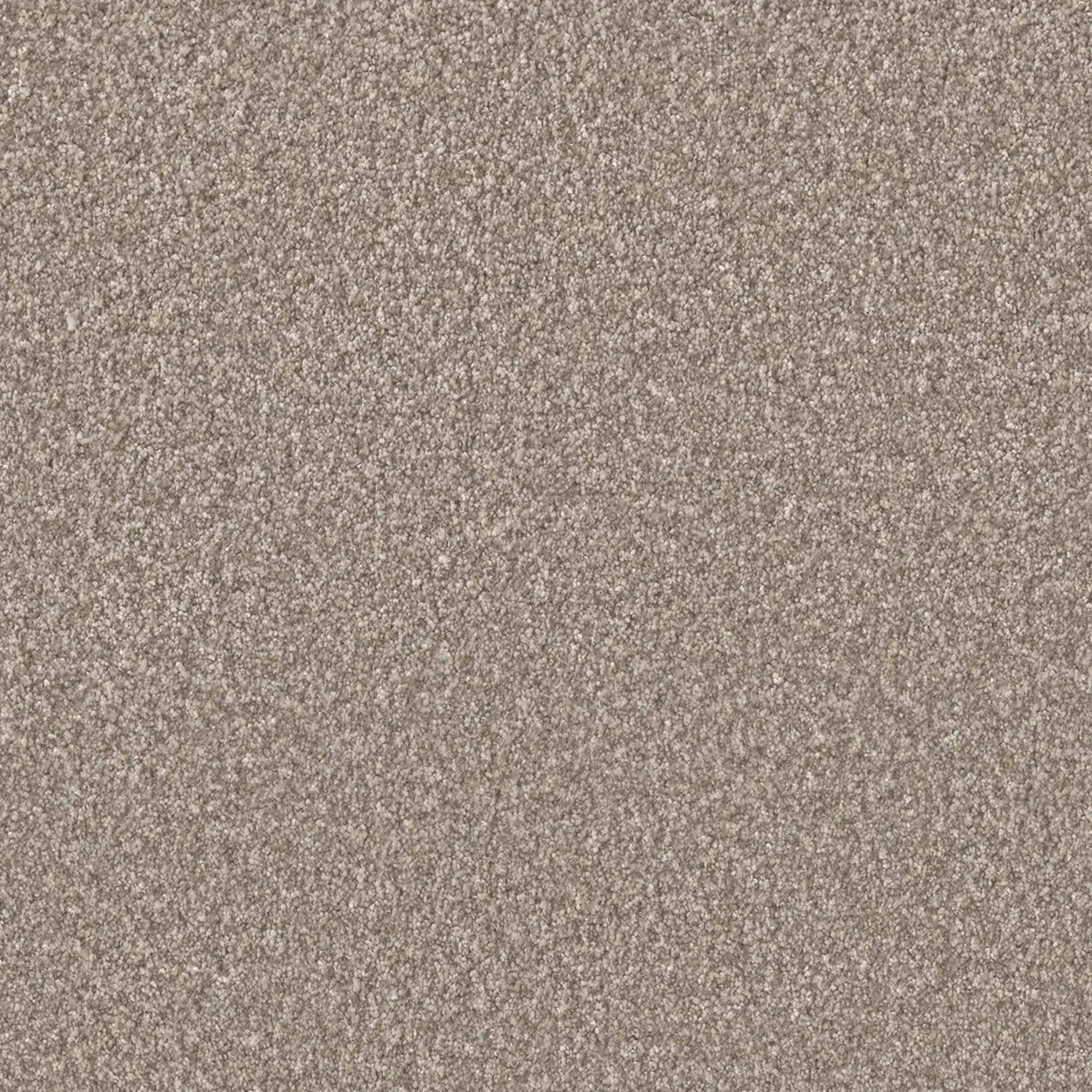 Dream Weaver Lucky Penny III Carpet in Bliss