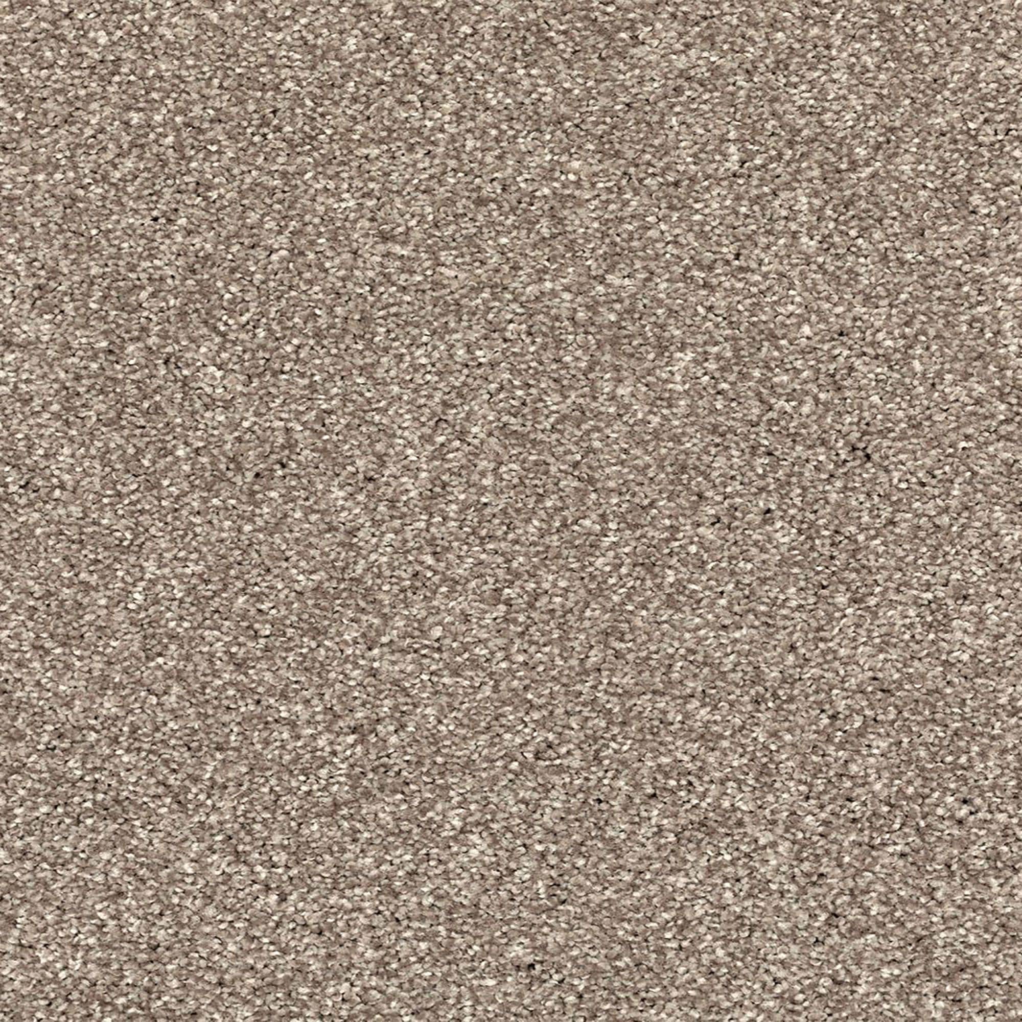 Mohawk Quality Life Carpet in Dock