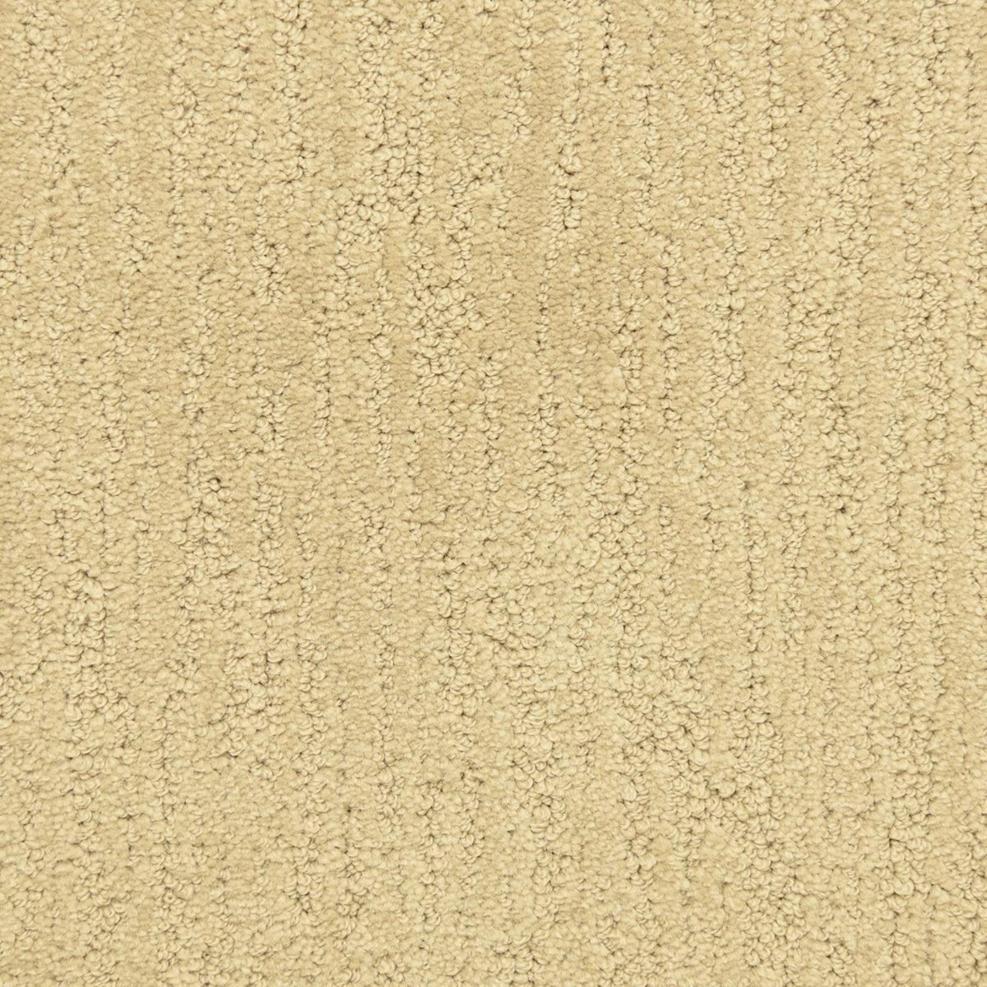 Dixie Home Legacy Carpet in Hazel