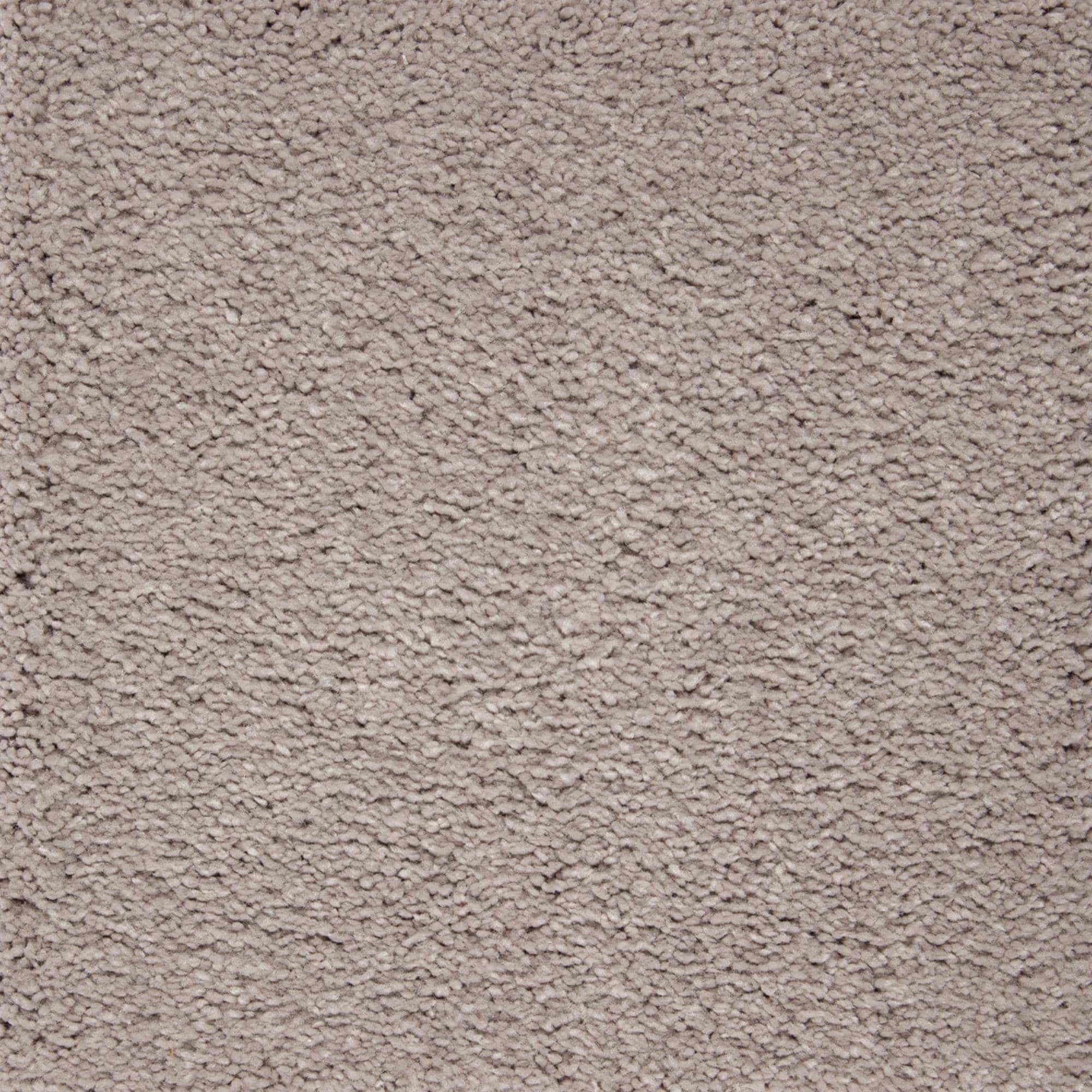 Mohawk Pleasant Touch Carpet in Perfect Taupe