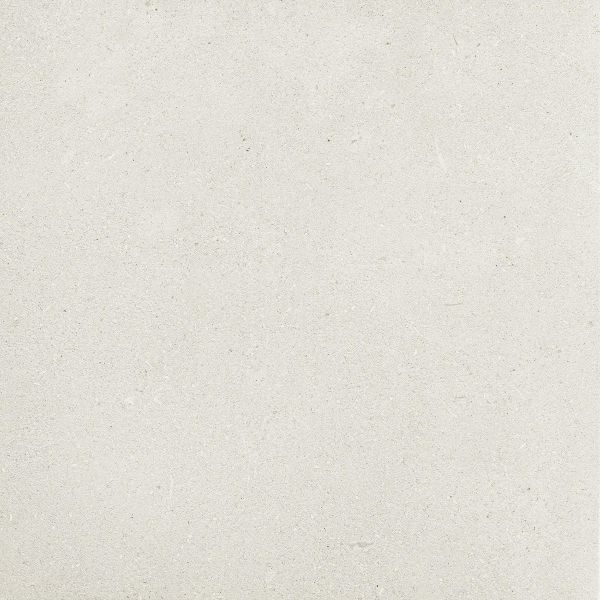 Dal-Tile Outlander Palazzo Moonlight 24" x 24" Porcelain Tile