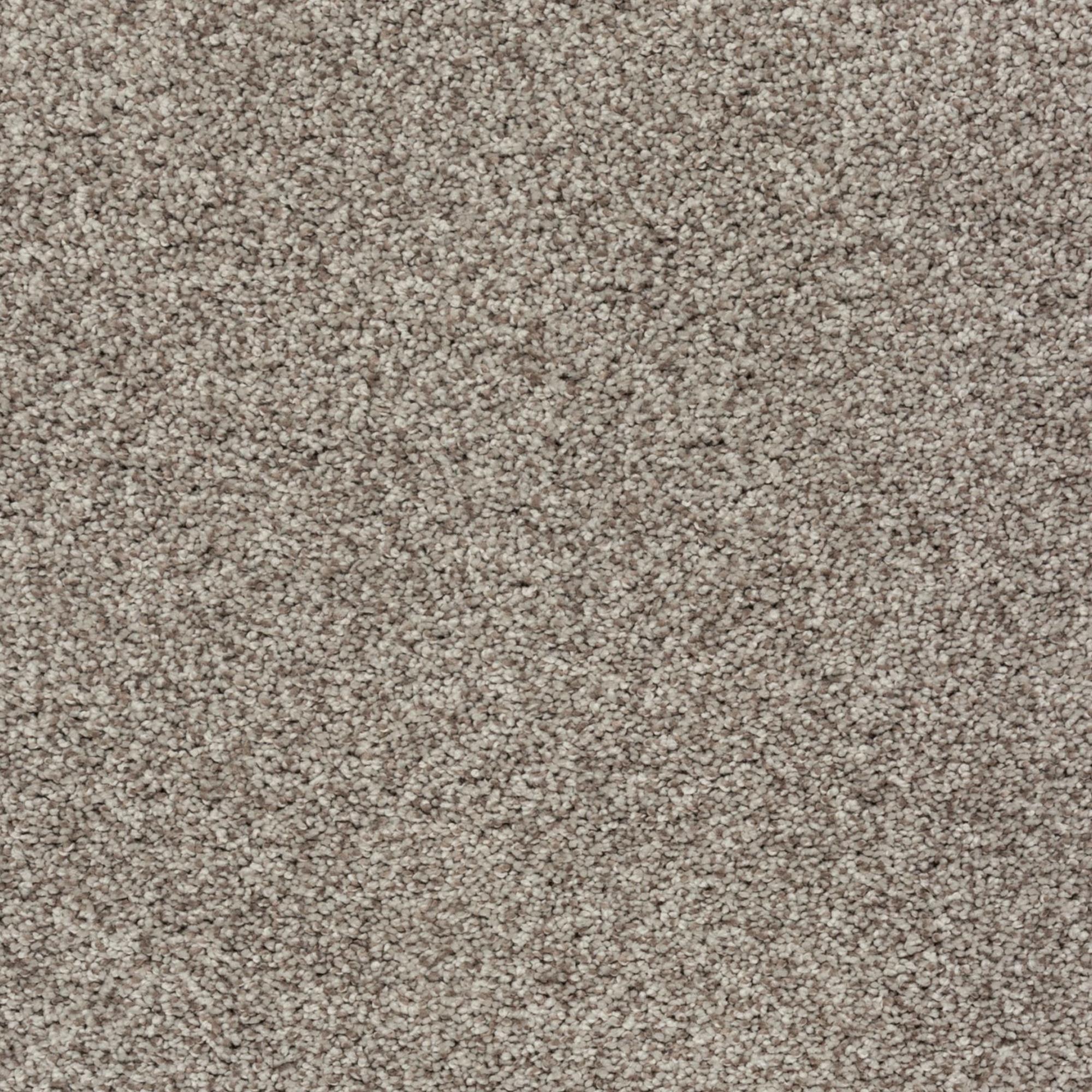 Mohawk Soft Direction III Carpet in Haze