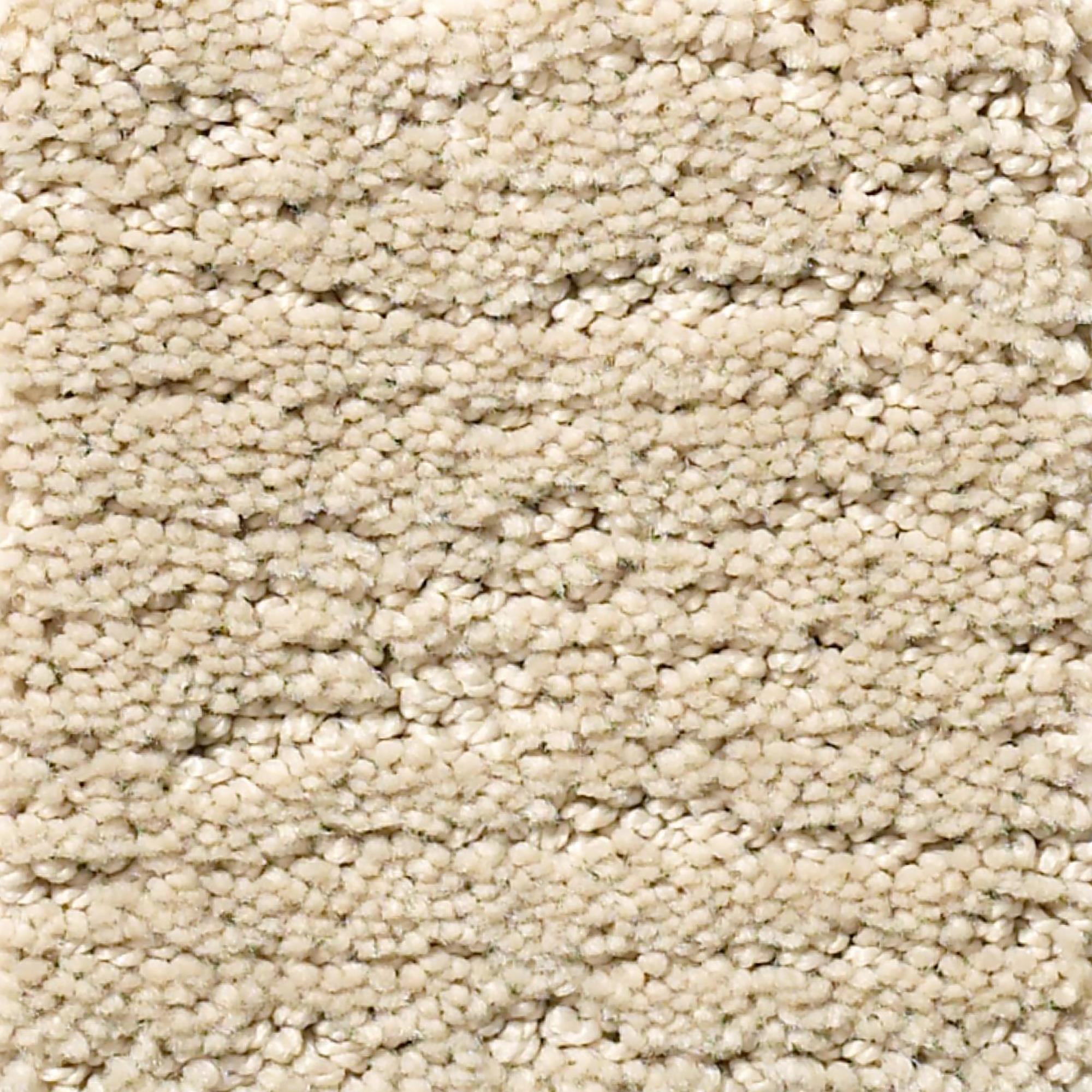Anderson Tuftex Contour Carpet in Bungalow