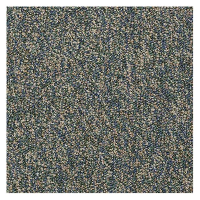 Shaw Franchise Carpet in Summertime