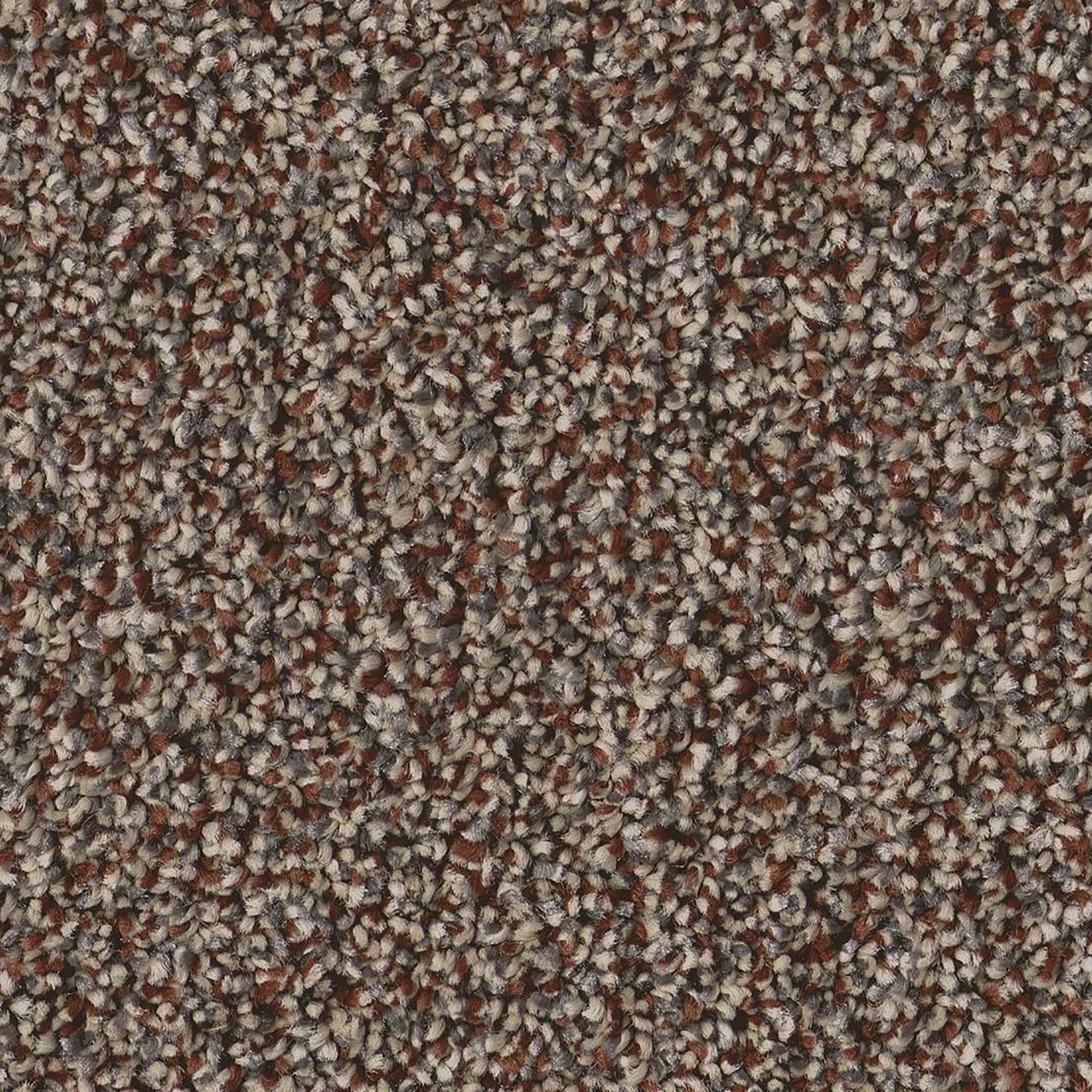 Shaw Artistic Fusion II Carpet in Orange Oxide | NFM