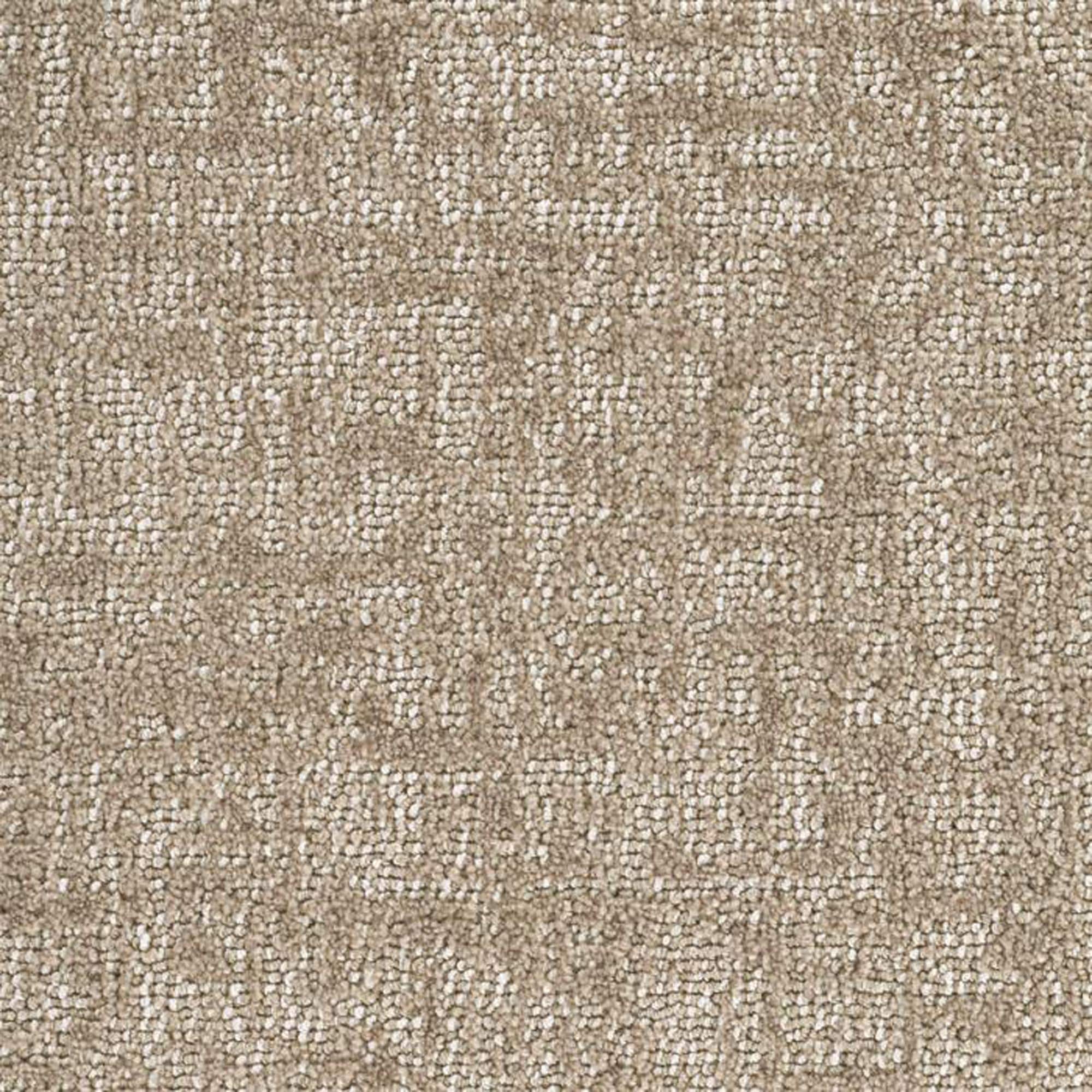 Masland Carpets Inc Dance Hall Carpet in Studio | NFM
