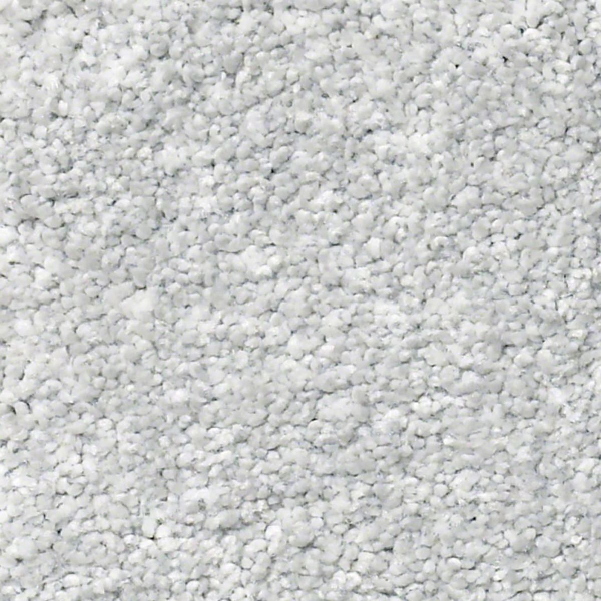 Shaw Find Your Comfort NS I Carpet in Bay Waves