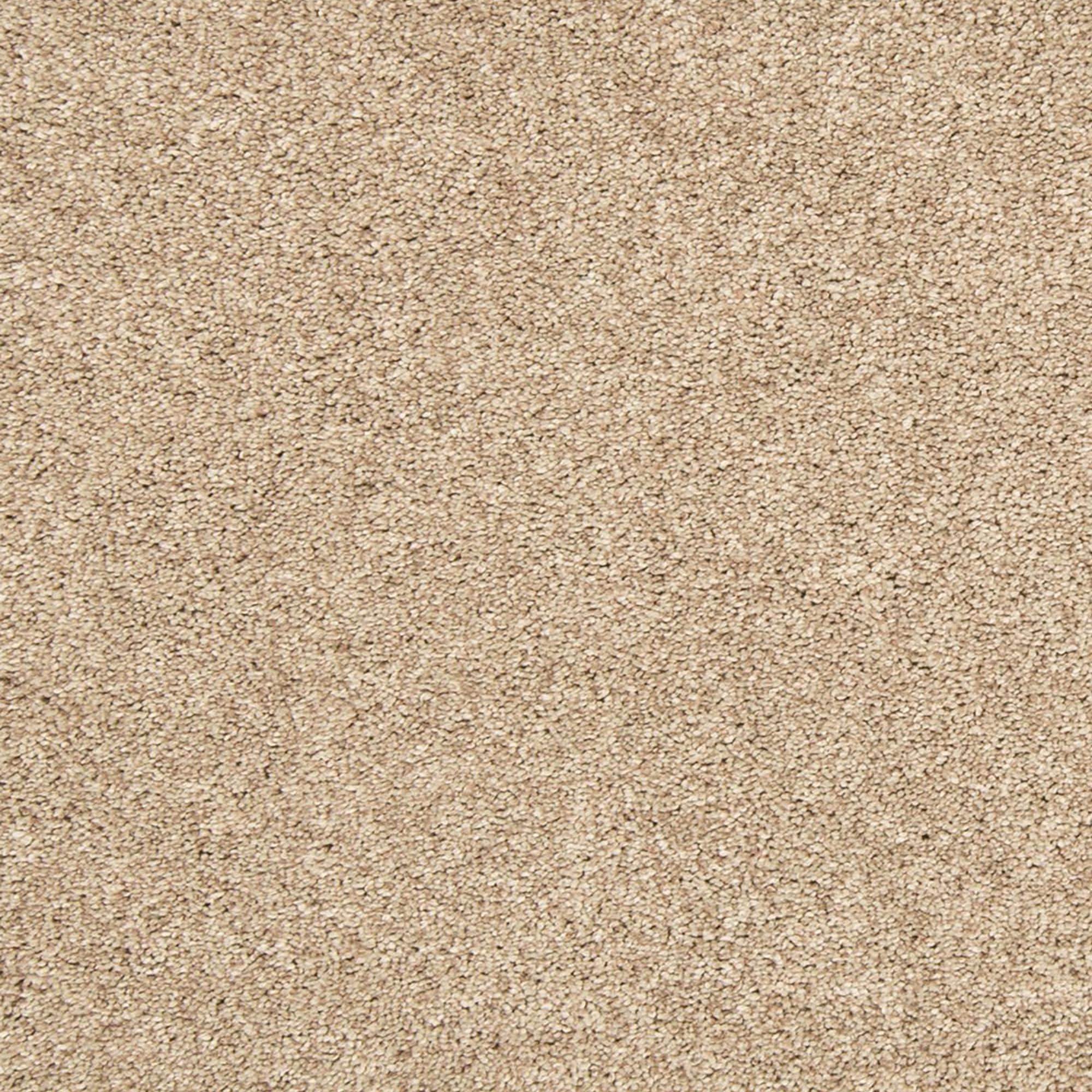 Mohawk Bold Creation Carpet in Hickory Bark