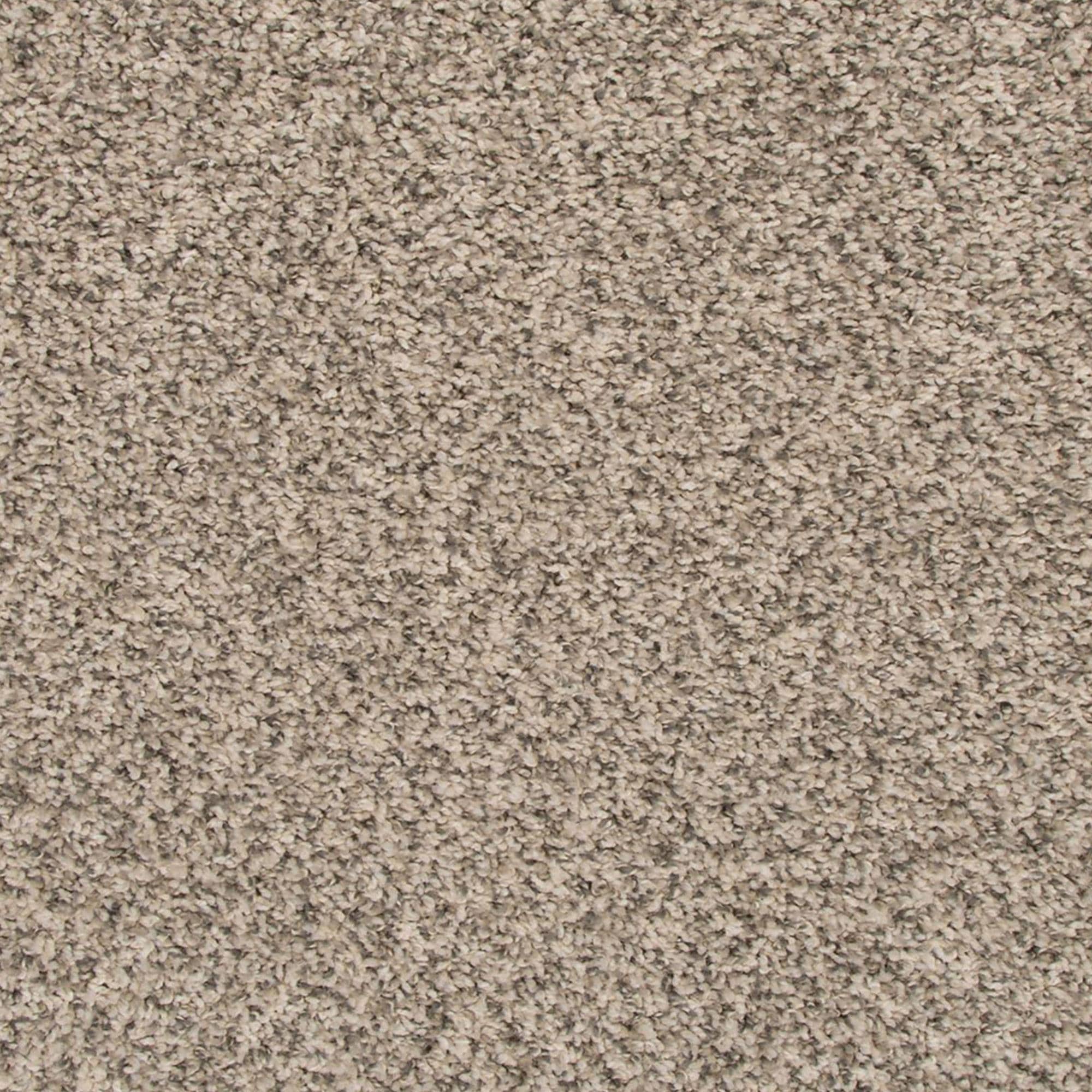 Mohawk Revive Carpet in Silver Dollar