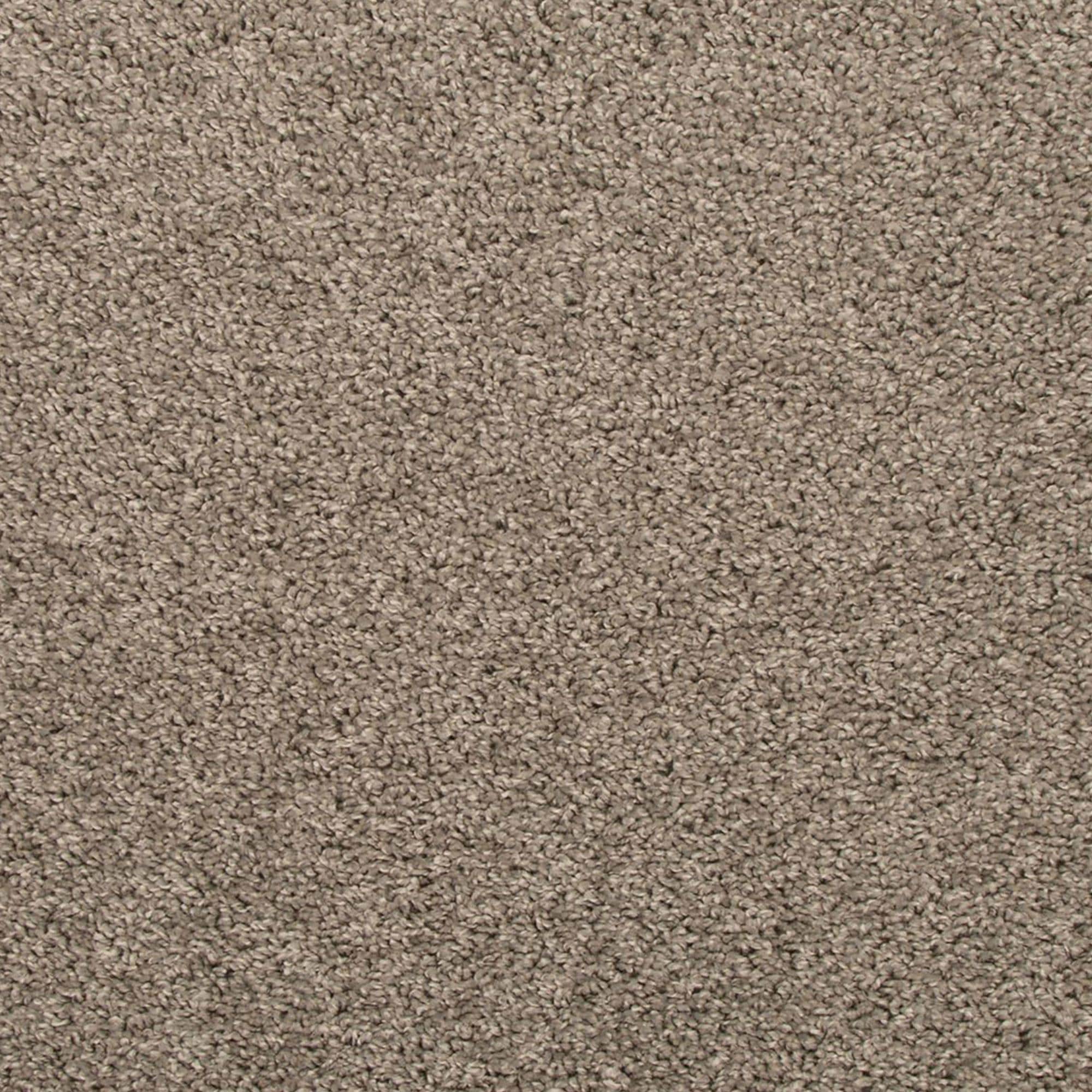 Mohawk Revive Carpet in Sound Grey