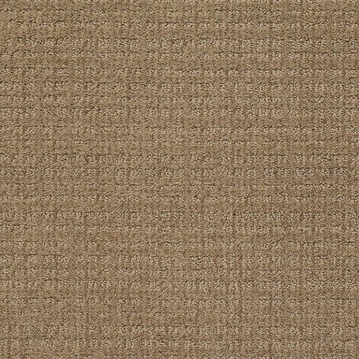 Philadelphia Sensible Now Carpet in Summerville | Shop NFM