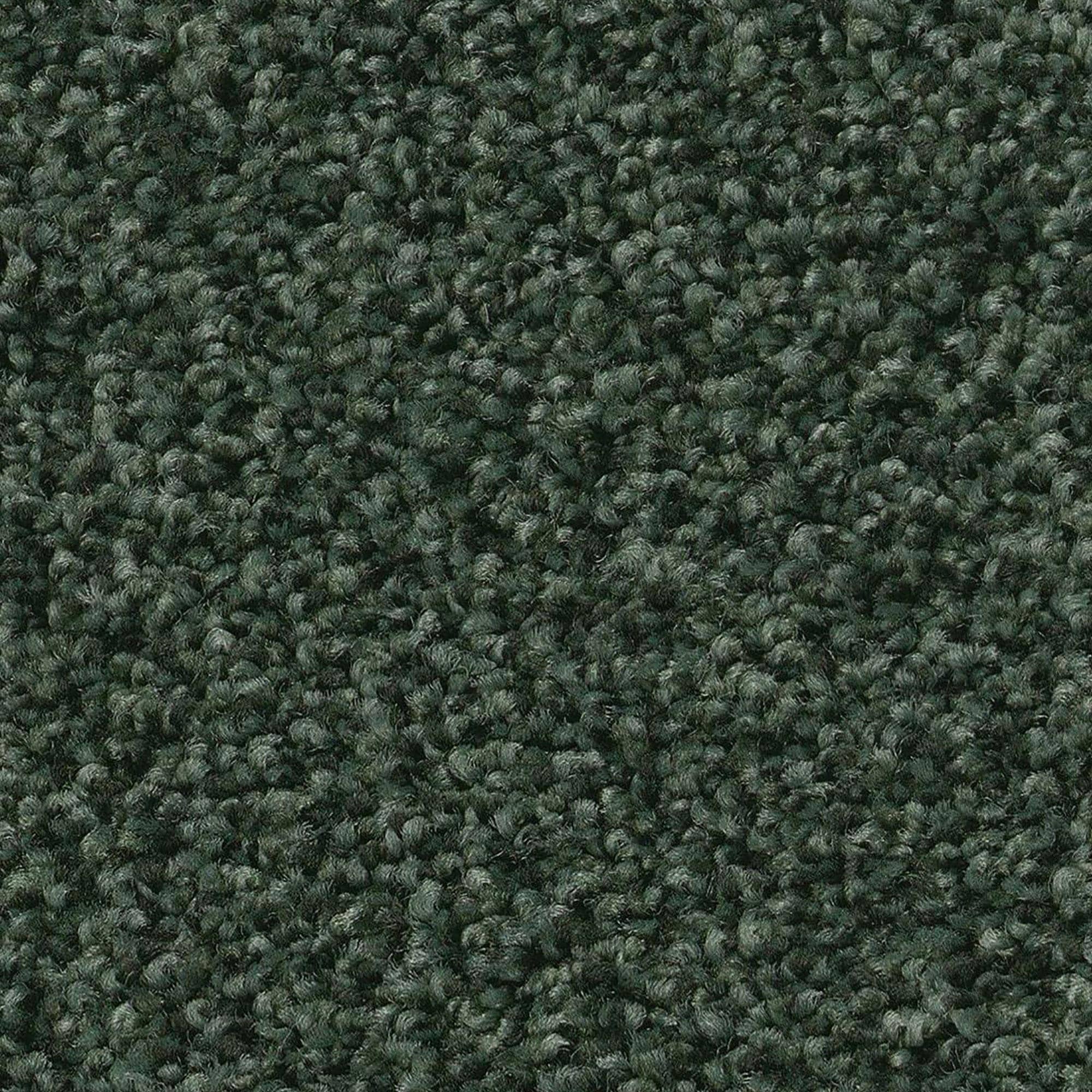 Shaw Tonal Comfort Blue Carpet in Magnolia Branch