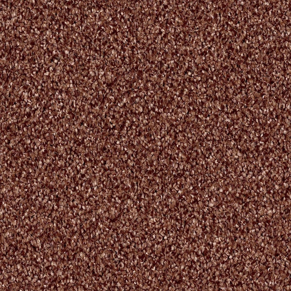 Shaw Palatial Carpet in Copper | NFM